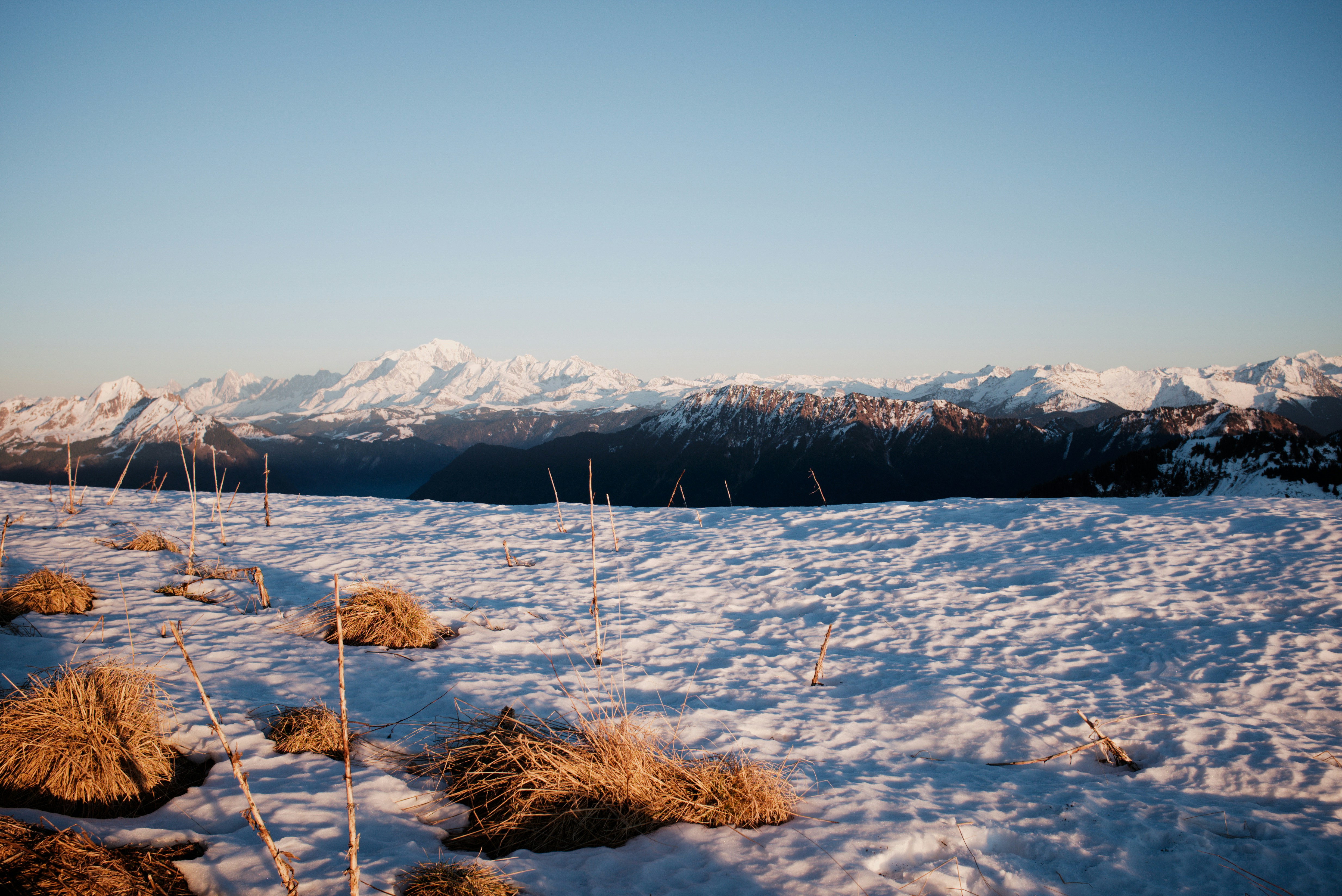 Snowfield Edge: Dawn Light on Alpine Crest