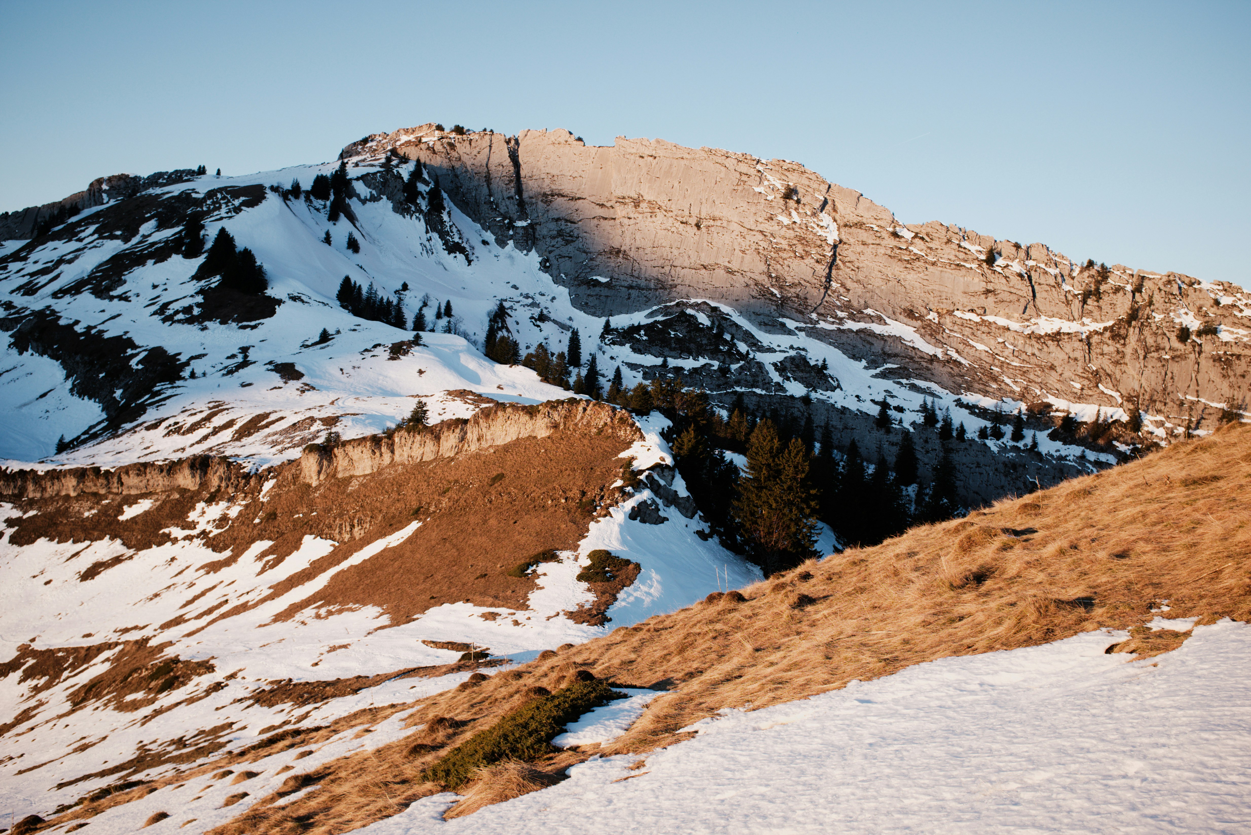 Golden Ridge: Snow, Sun, and Shaved Dunes