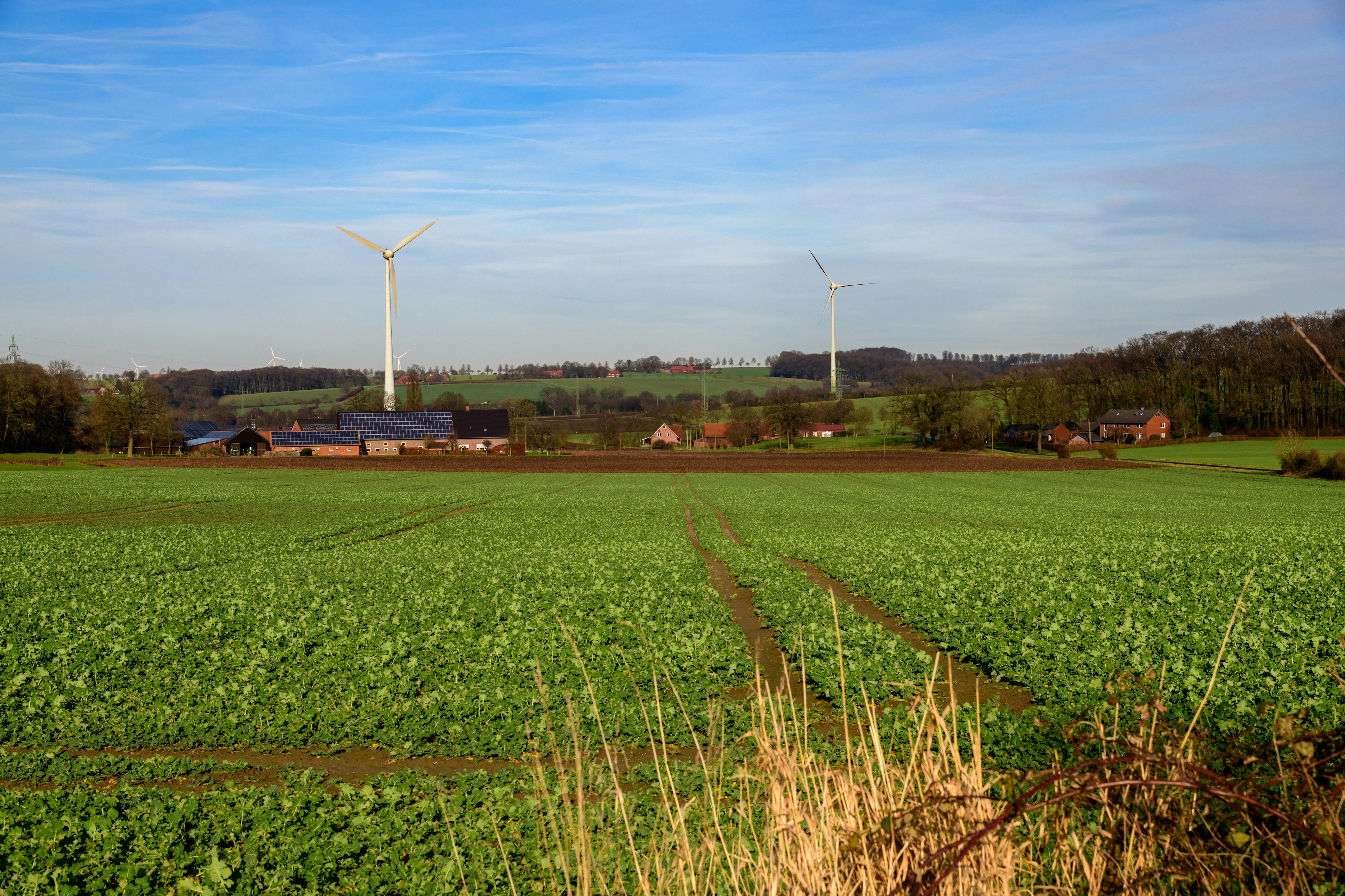 Windmills Over a Verdant Patchwork
