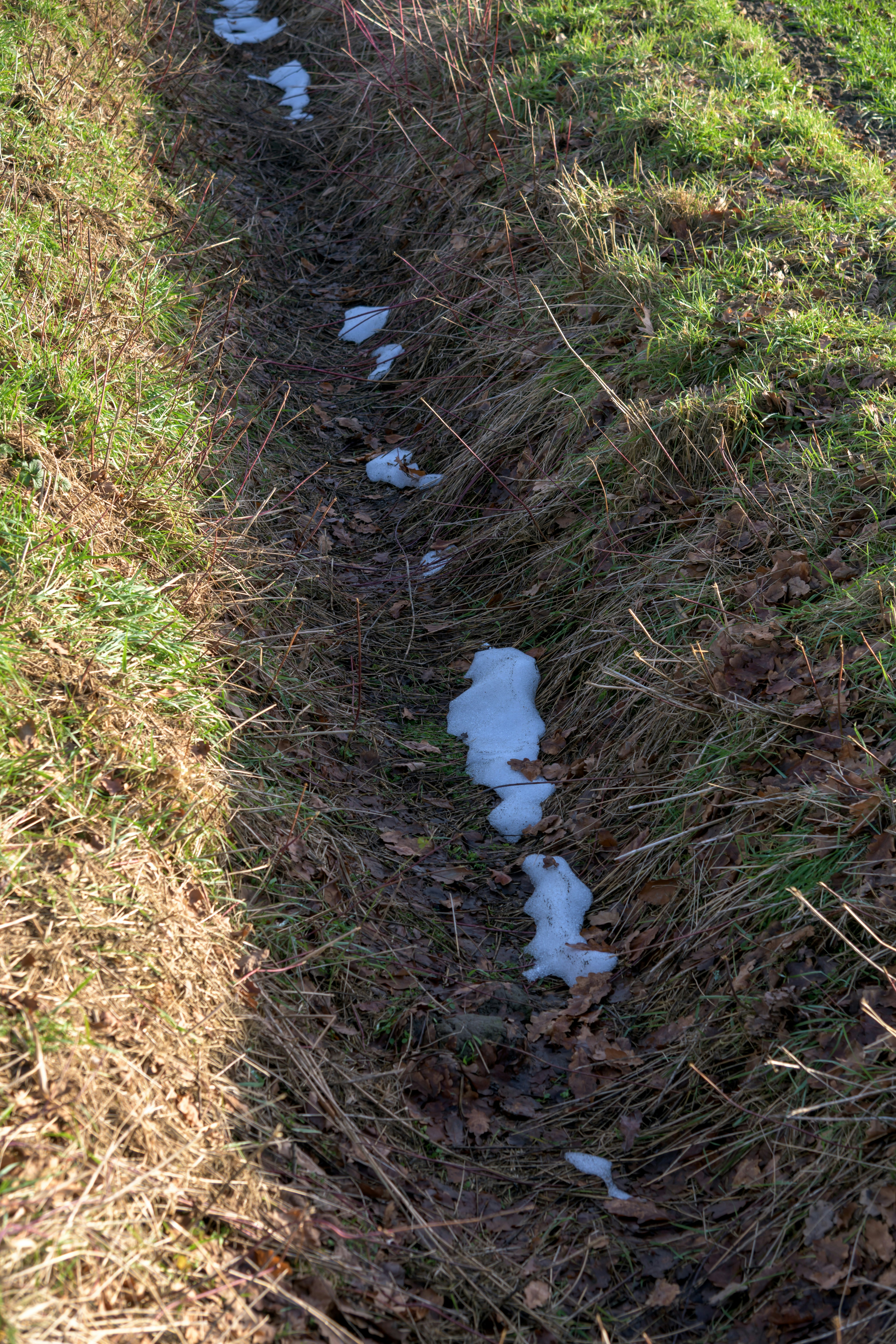 A Narrow Footpath through Spring Grass with Patches of Snow