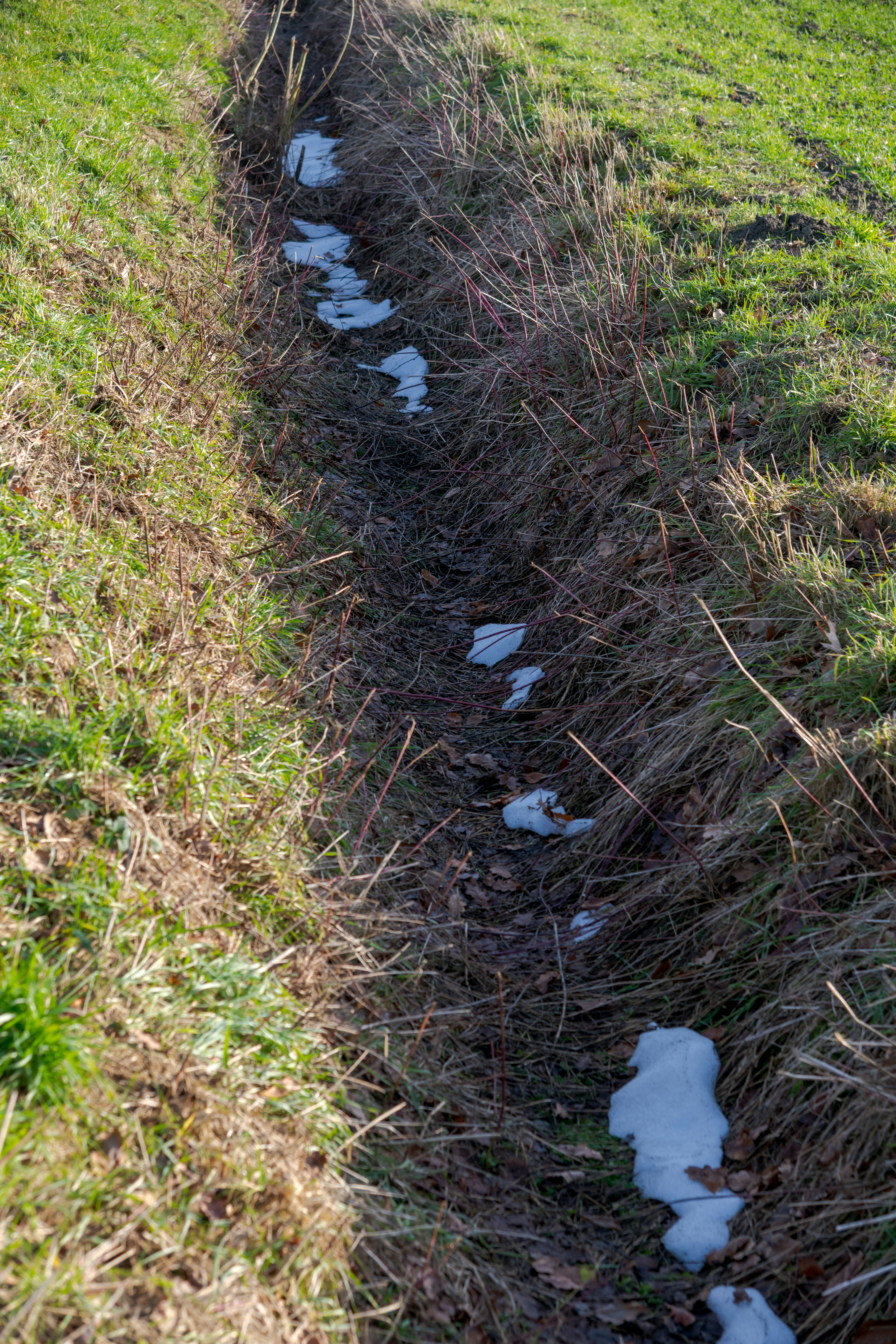 A rutted path of melting snow through a grassy ditch