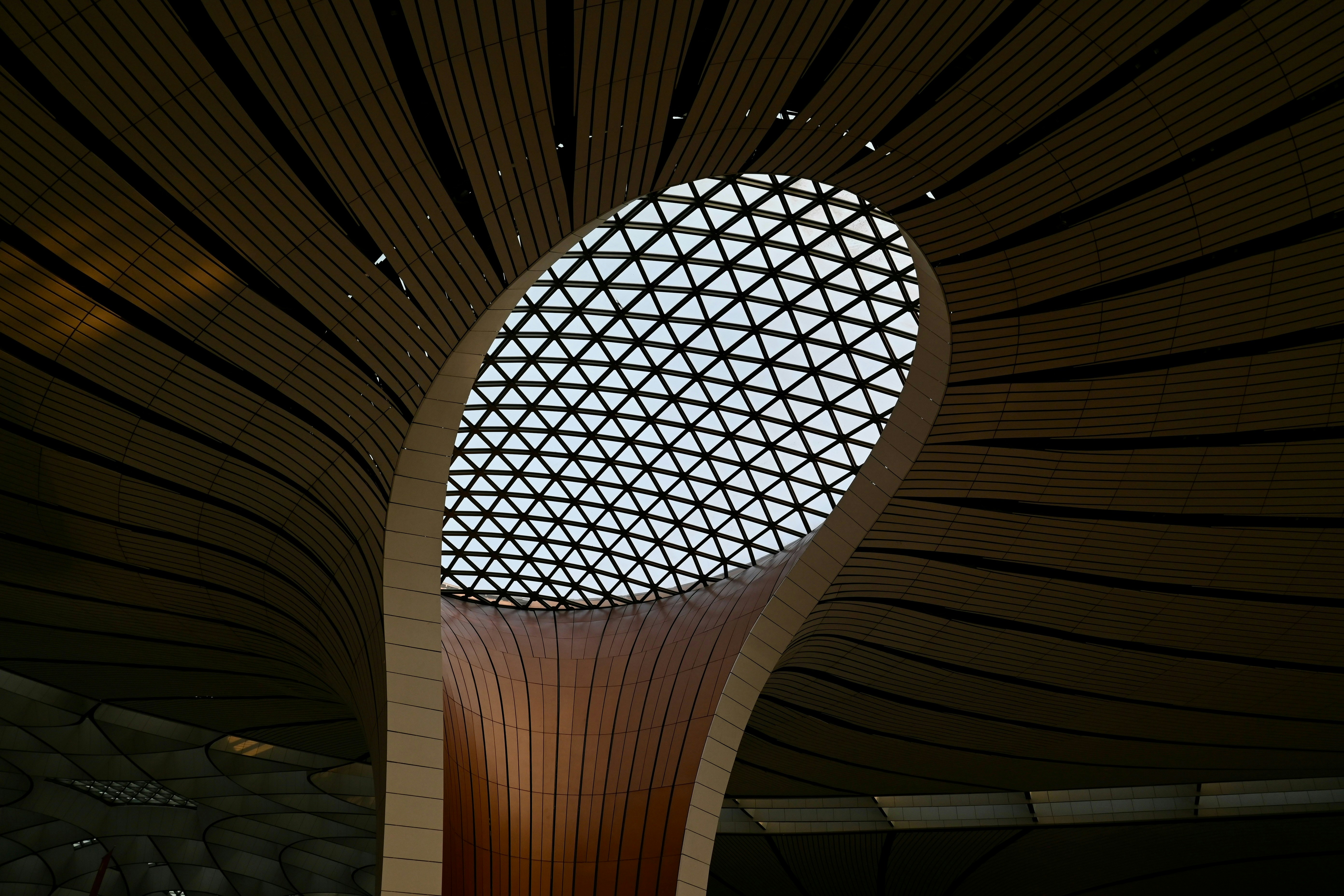 Geometric Skylight Framed by Curved Timber Veins