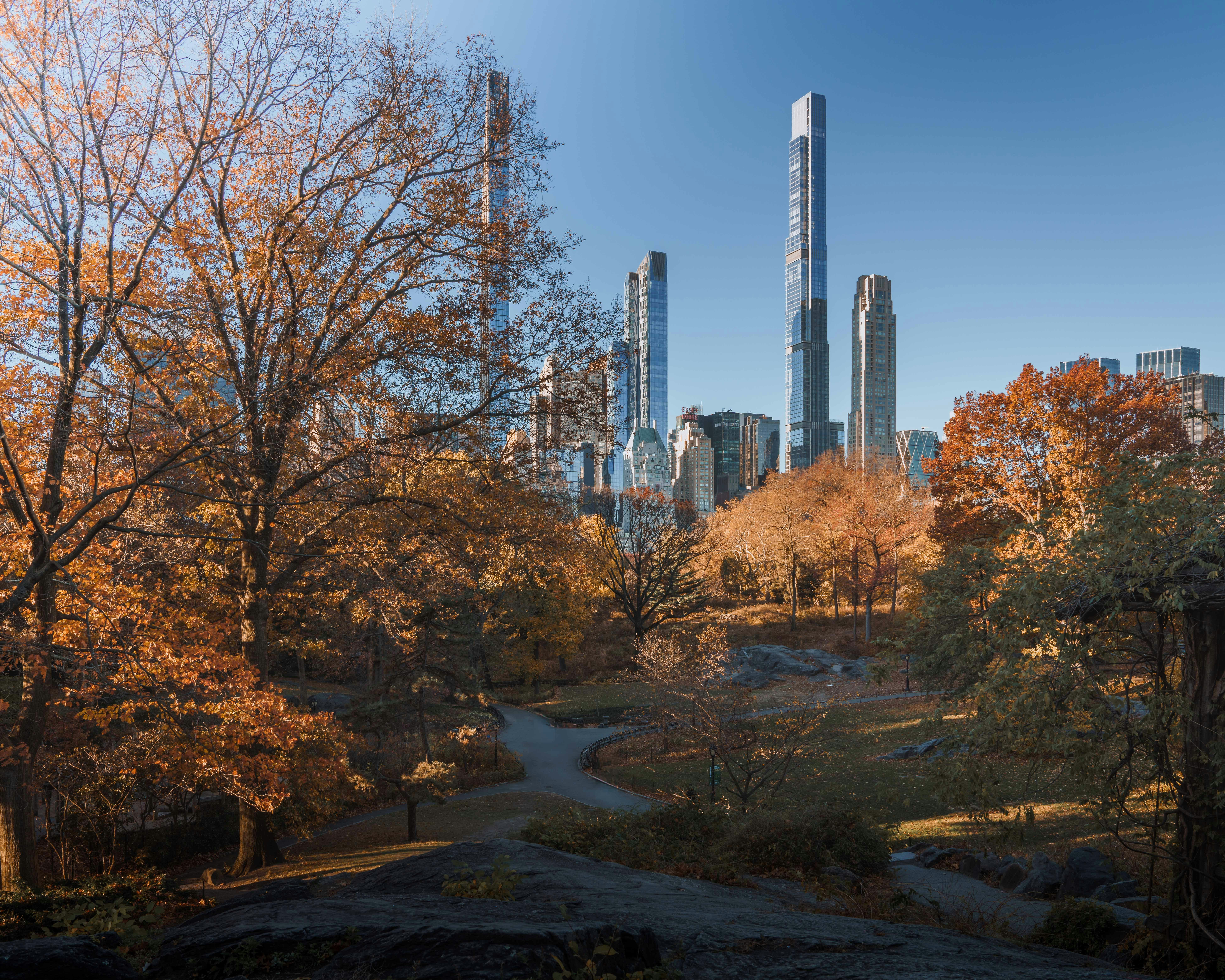 Autumn Park Overlooking a Modern Skyline
