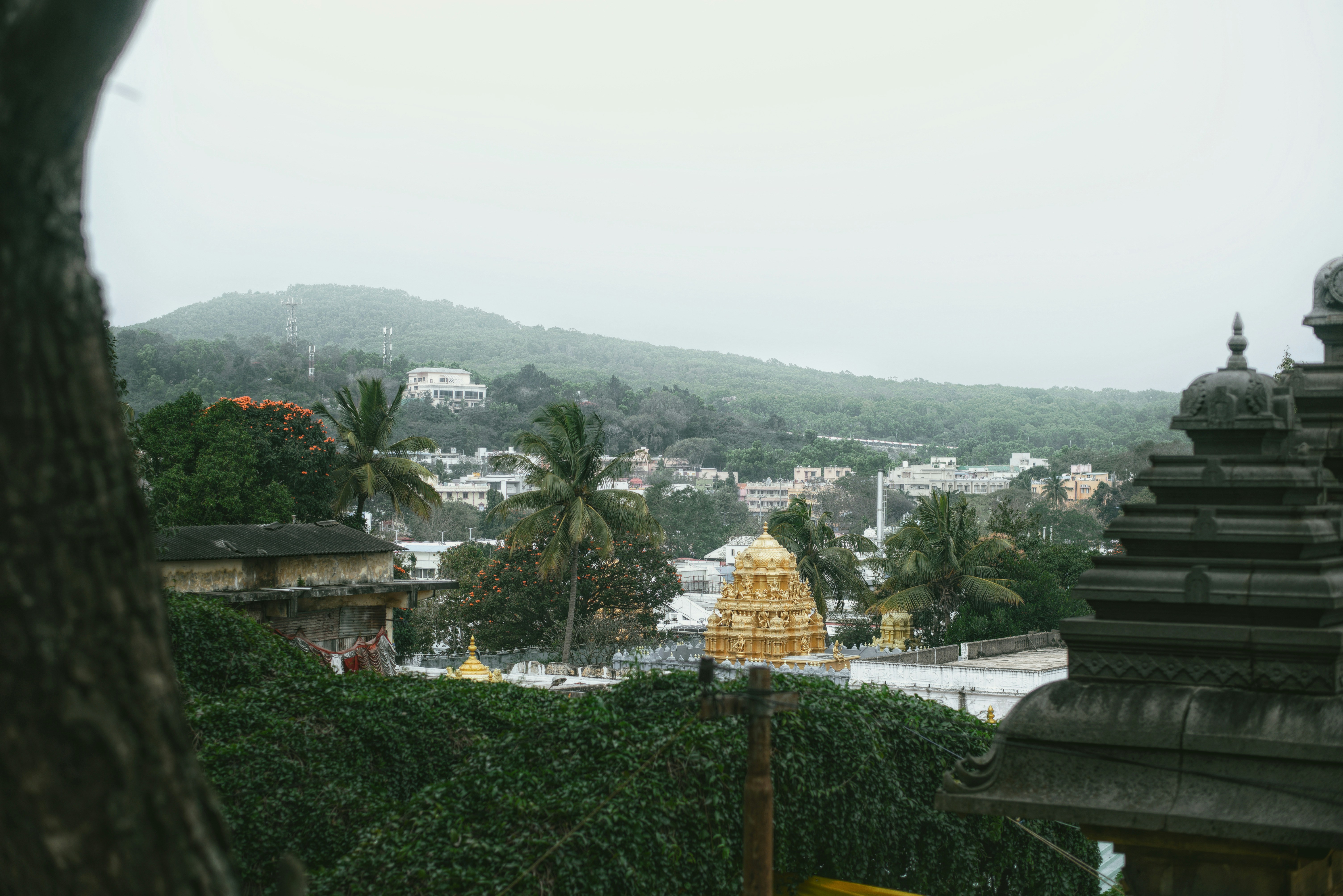 Temple spire rising above a tropical cityscape