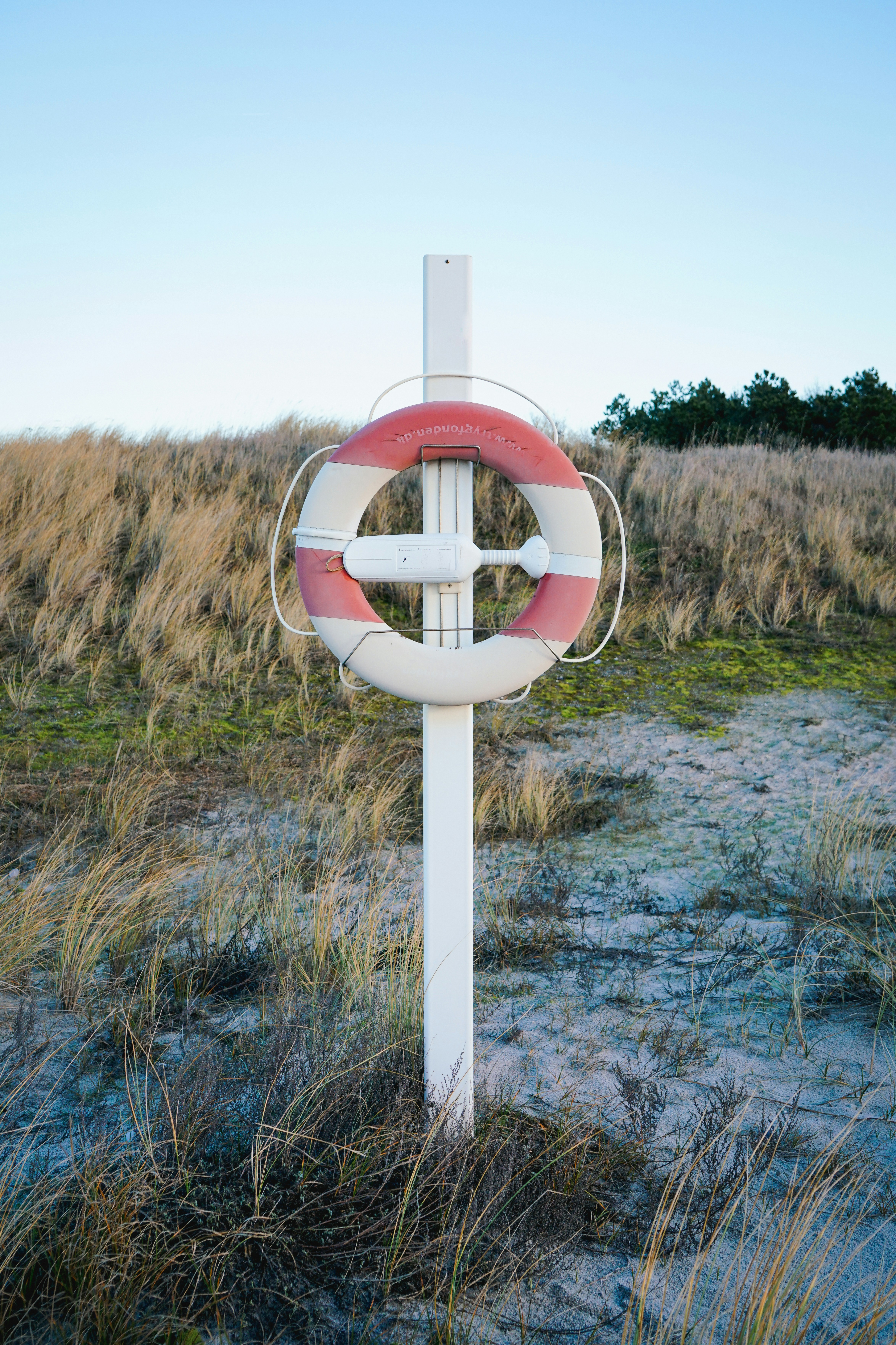 Lifebuoy Sentinel in Coastal Grasslands