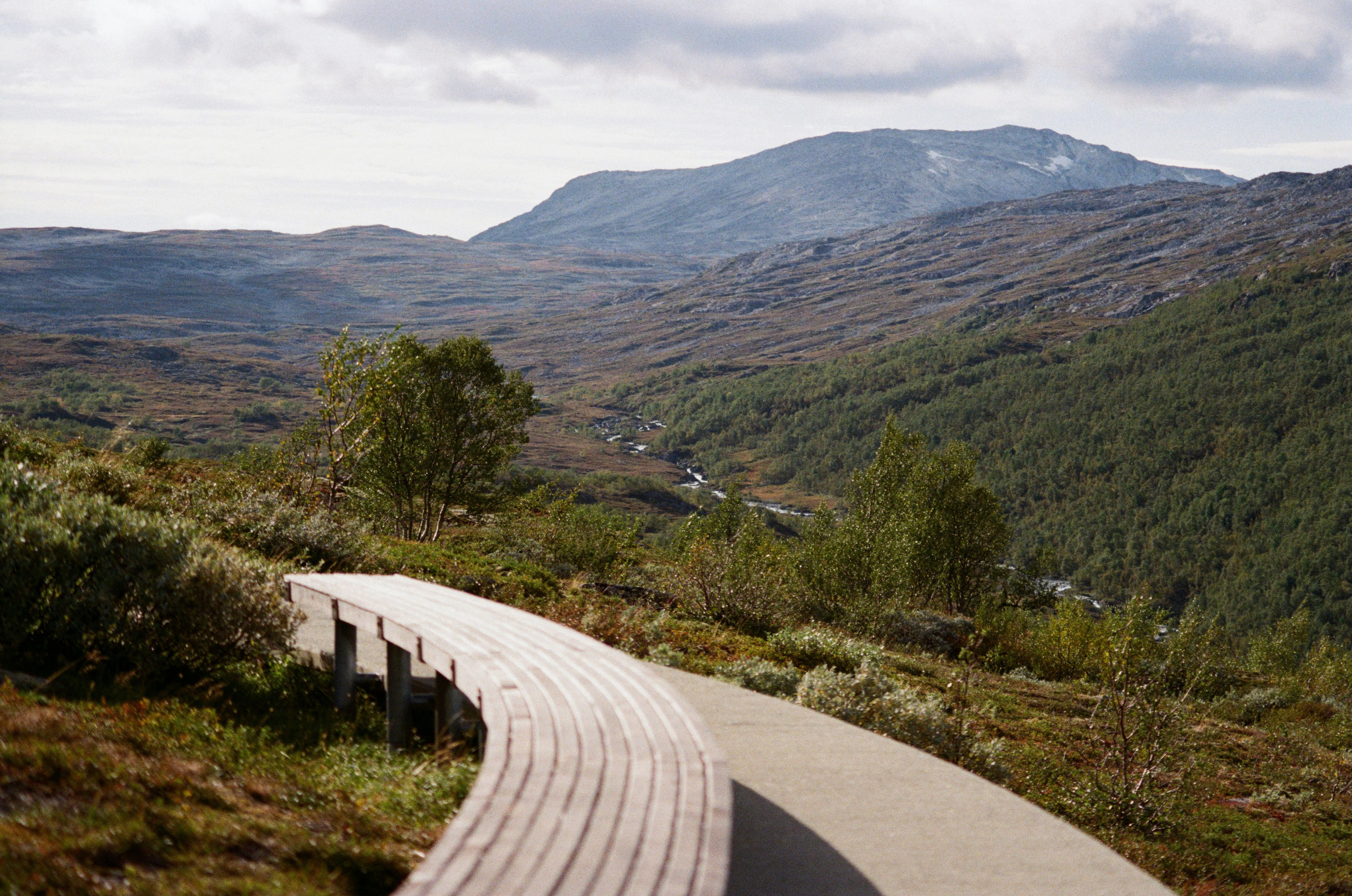 Curved Boardwalk Through Quiet Highlands