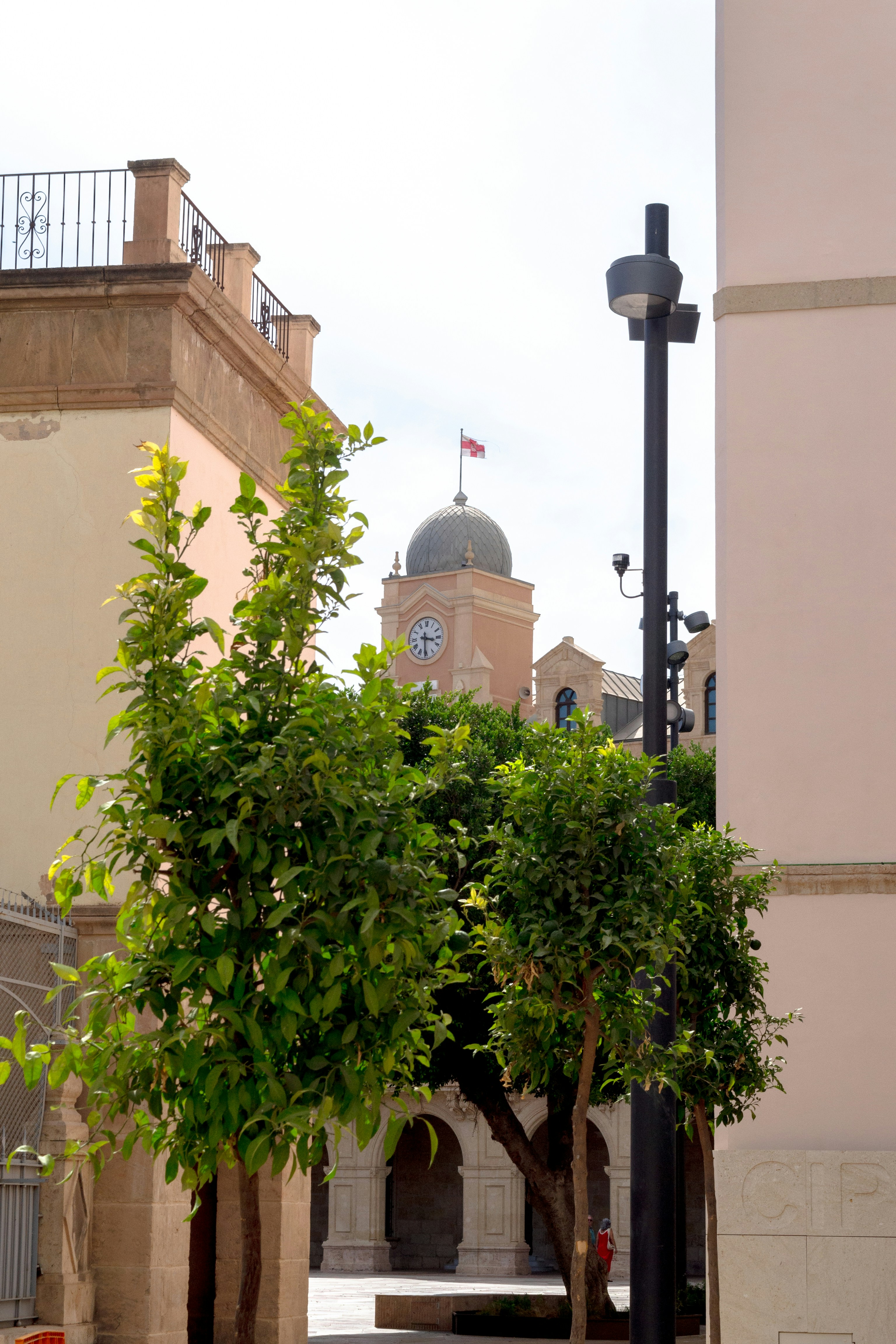 Courtyard Clocktower Through Verdant Foliage