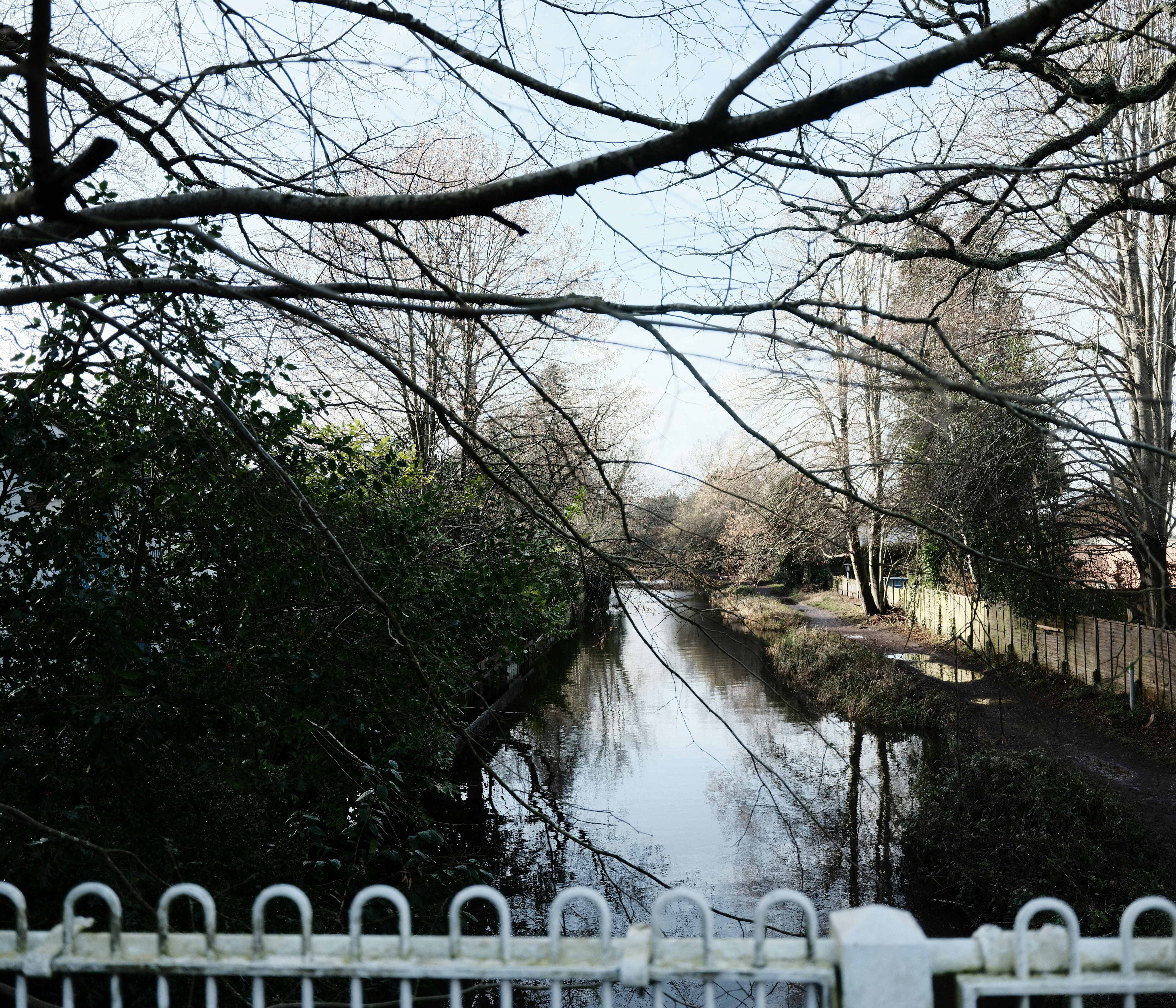Bridge Over Reflections: Quiet Canal Framed by Winter Bare Branches