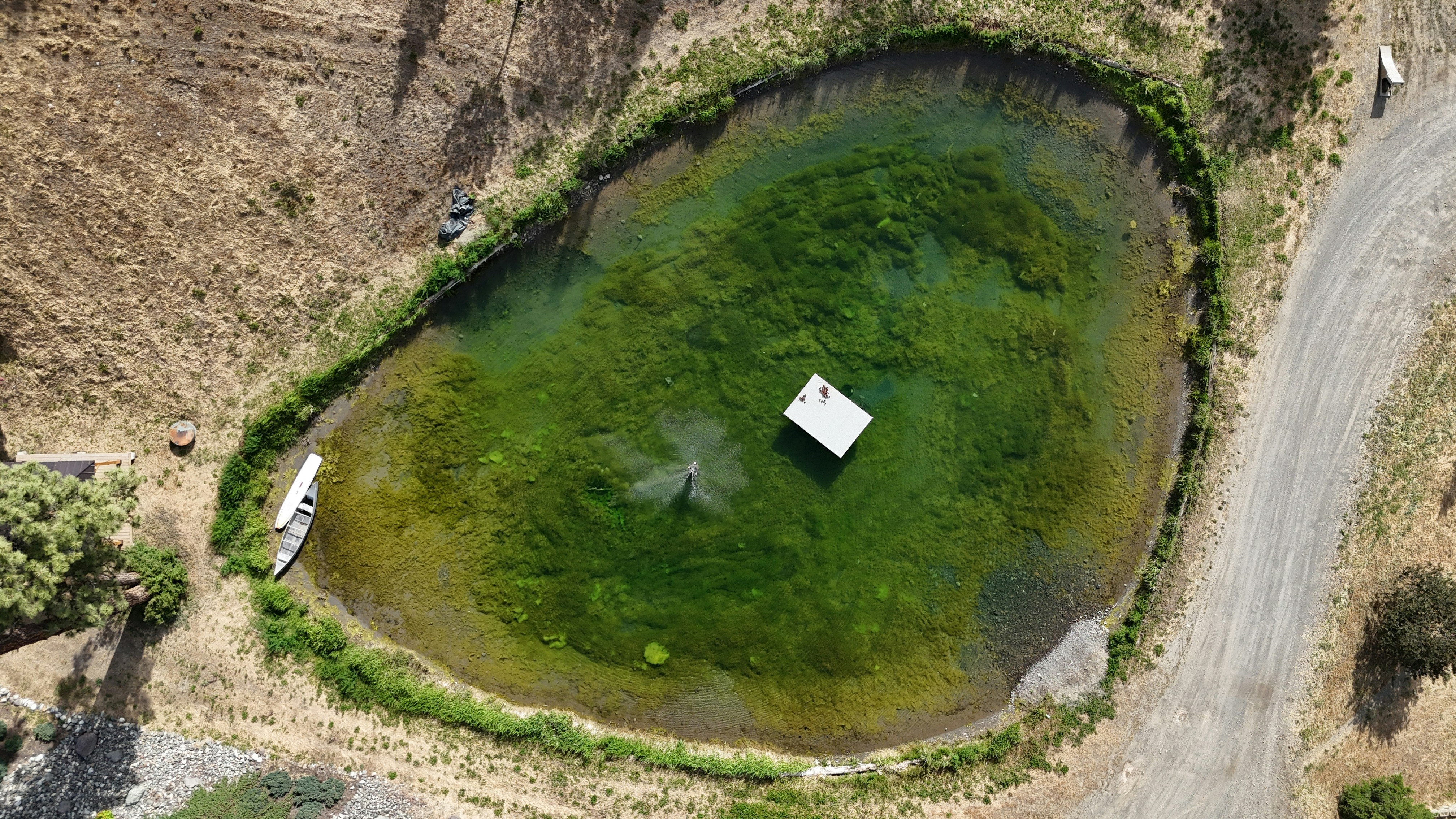 Green Island Oasis: A Circular Pond with a Central Fountain