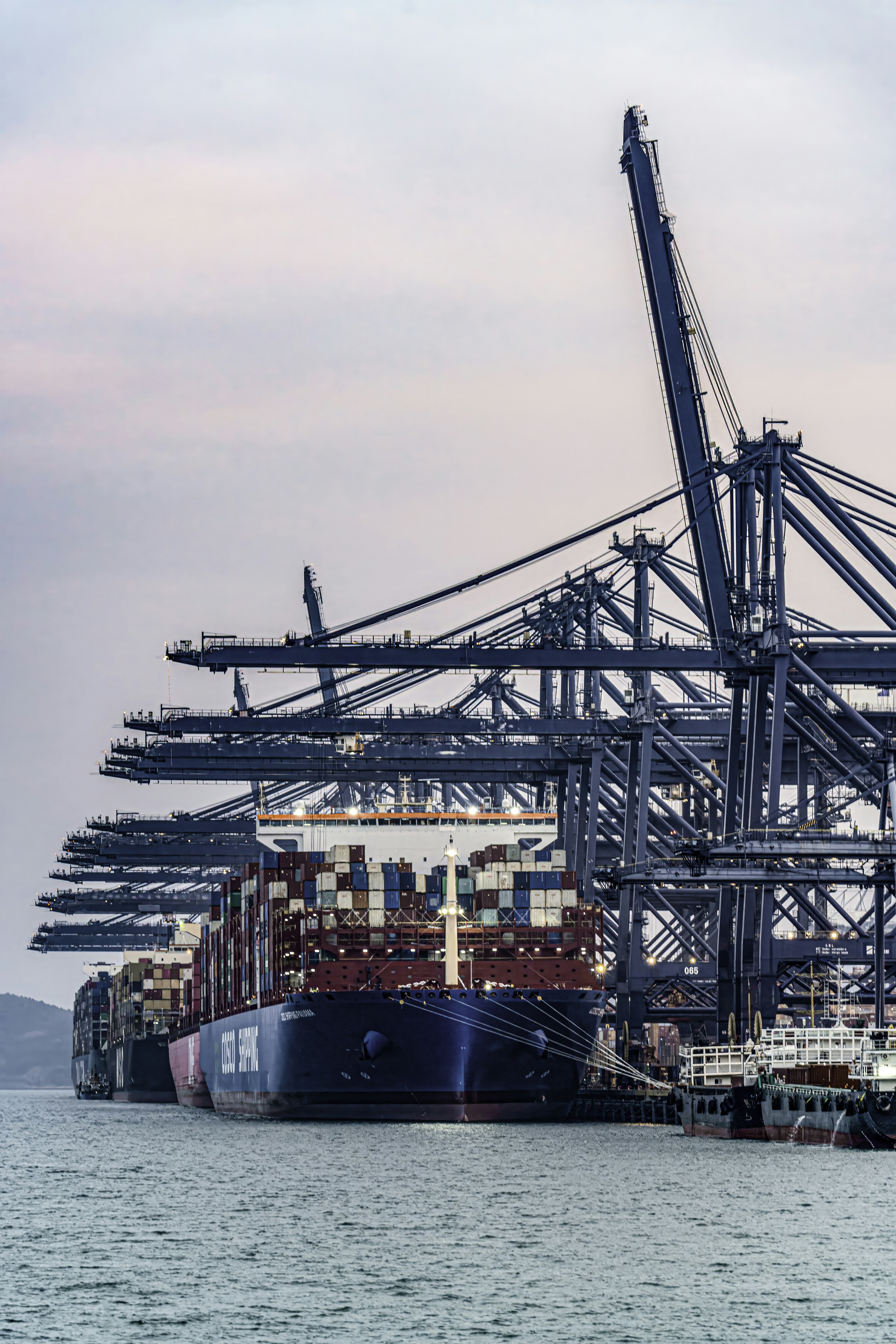 Harbor Colossus: A Fleet of Cranes Guarding the Loaded Hull