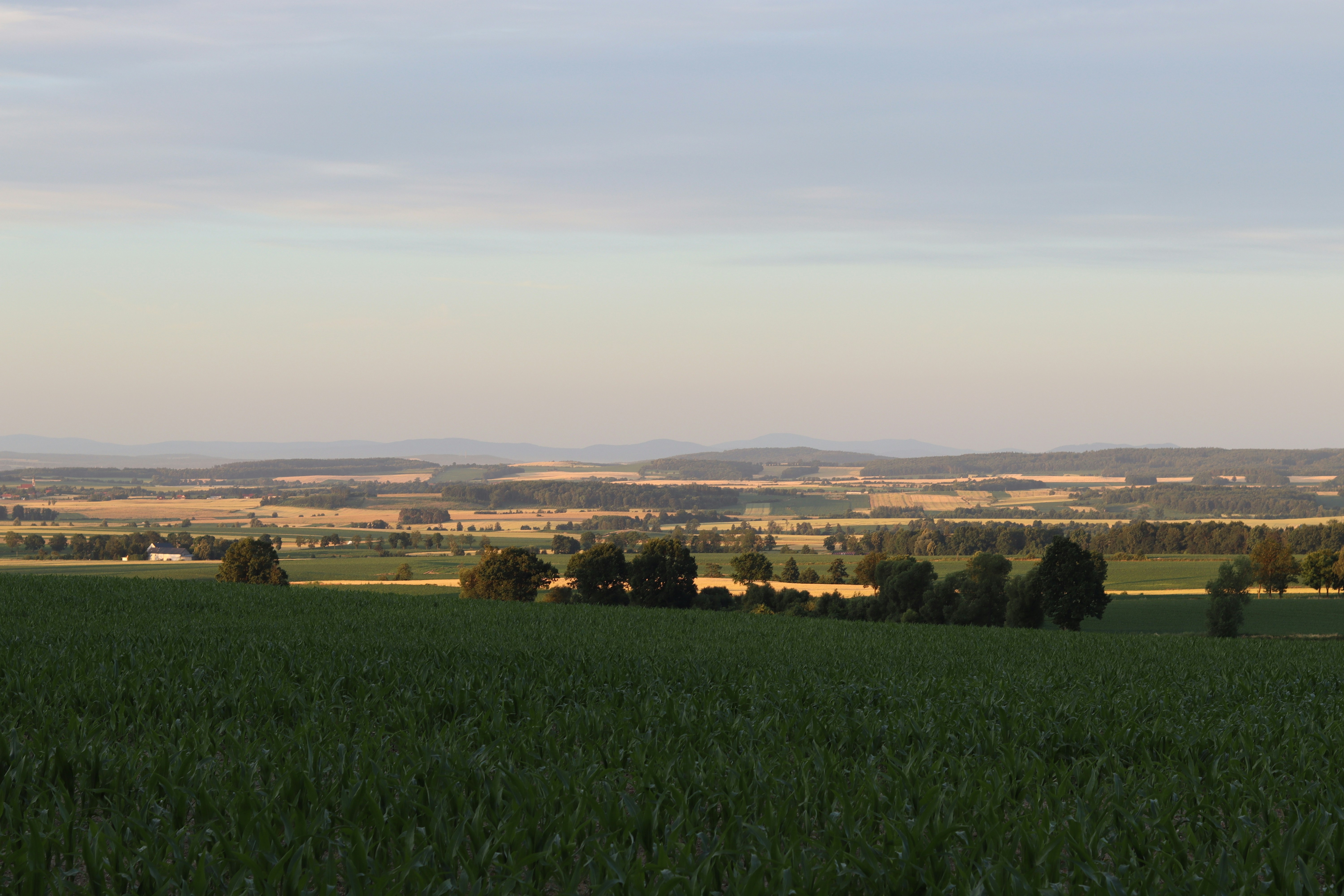 Horizon of Fields: Quiet Valleys Under Broad Skies