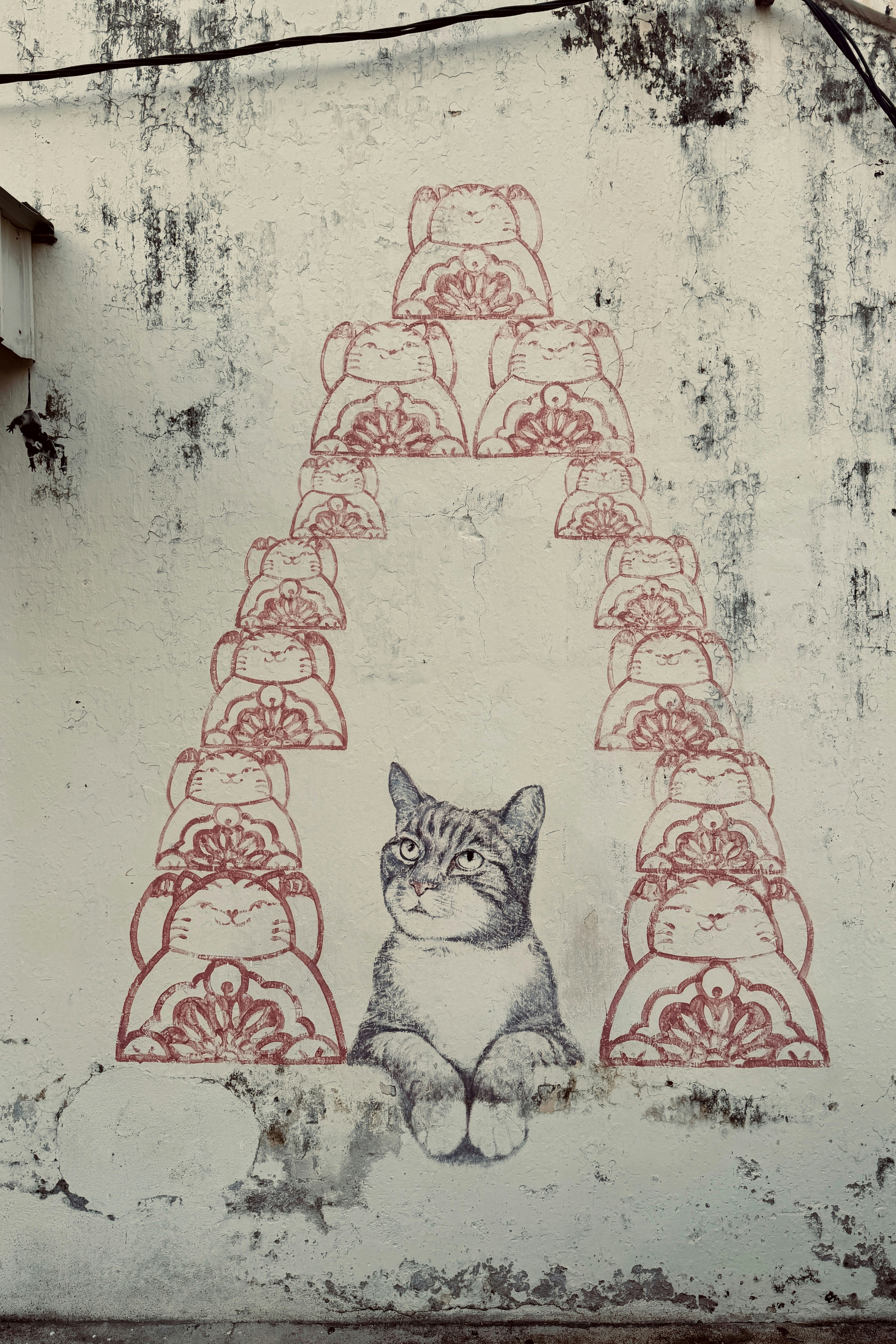 Cat Portrait Framed by Terraced Murals