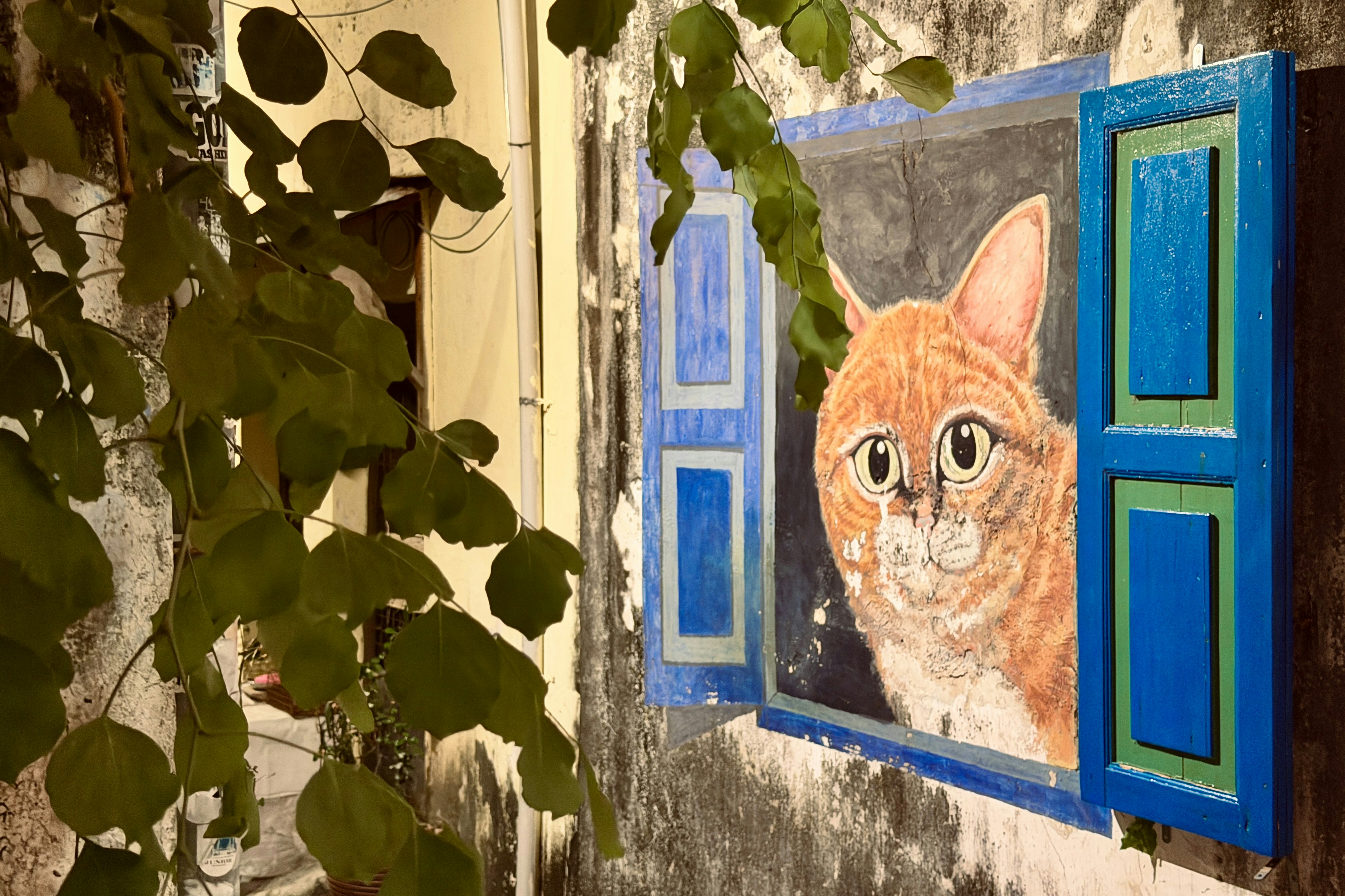 Orange tabby at the blue window: a playful portrait through painted shutters