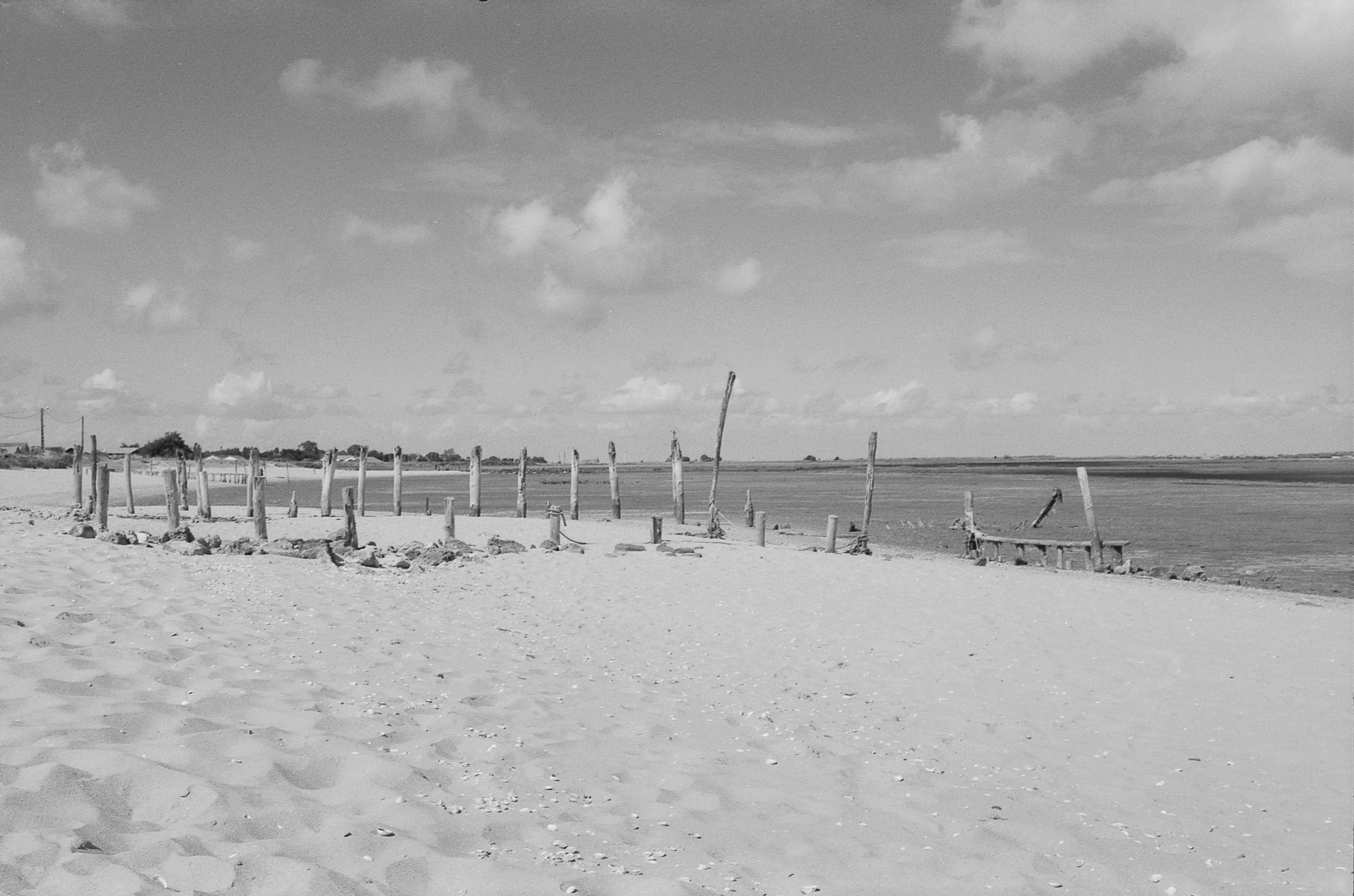 Deserted Boardwalk Remains on Lip of the Tidal Shore