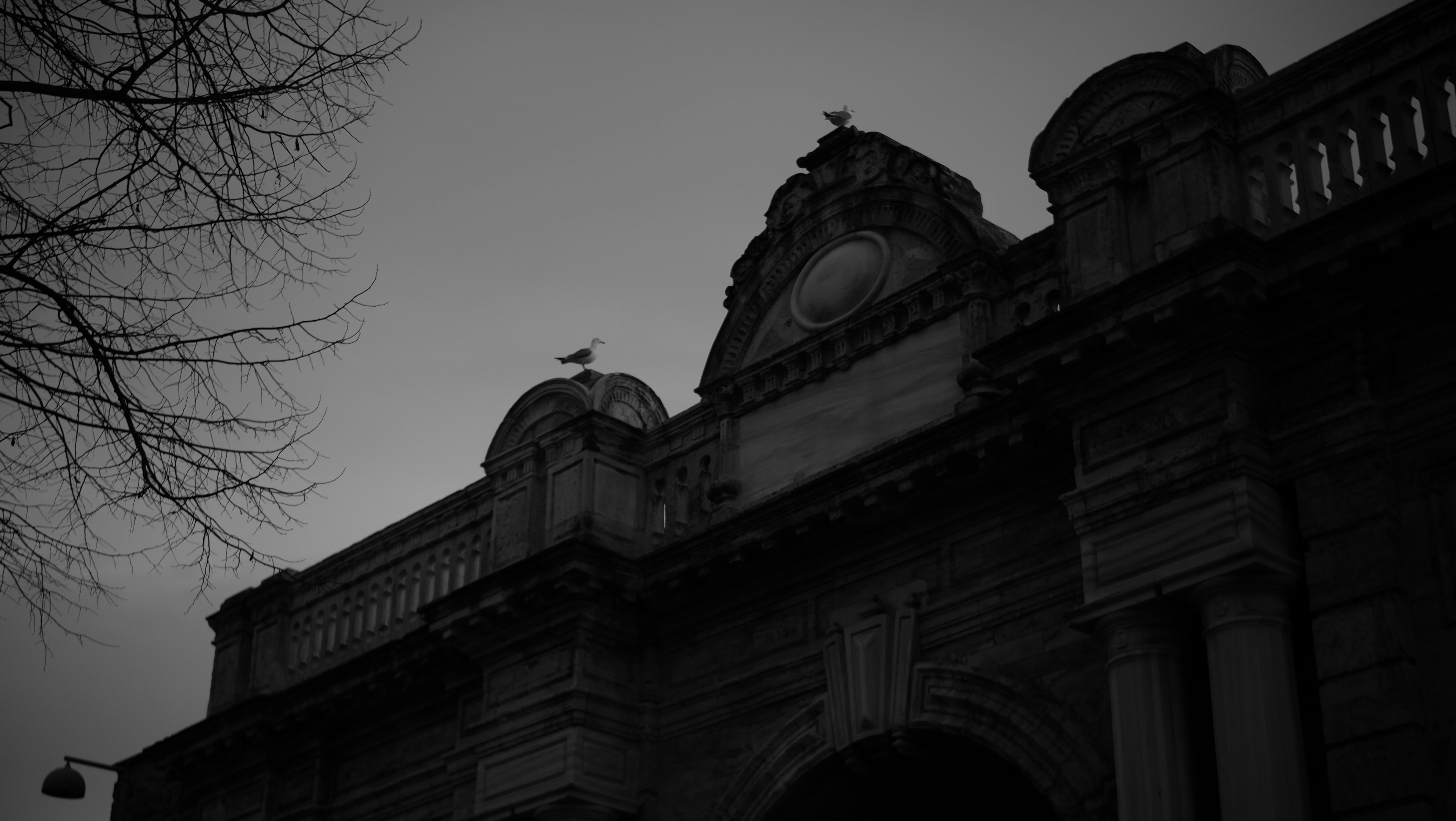 Arched Facade Beneath a Bare Winter Sky