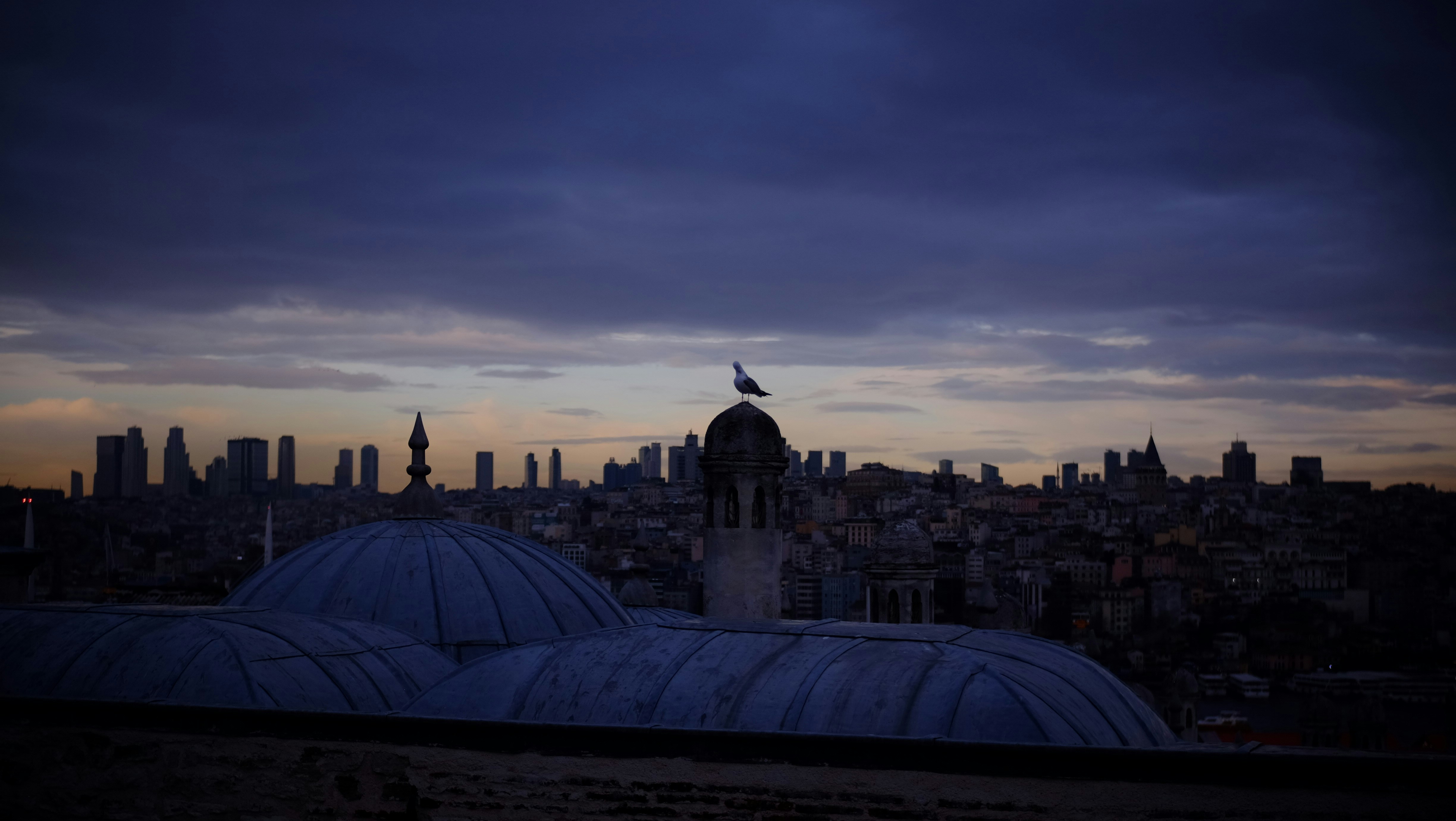 Dusk Over the City: A Rooftop Silhouette with a Seagull Sentinel