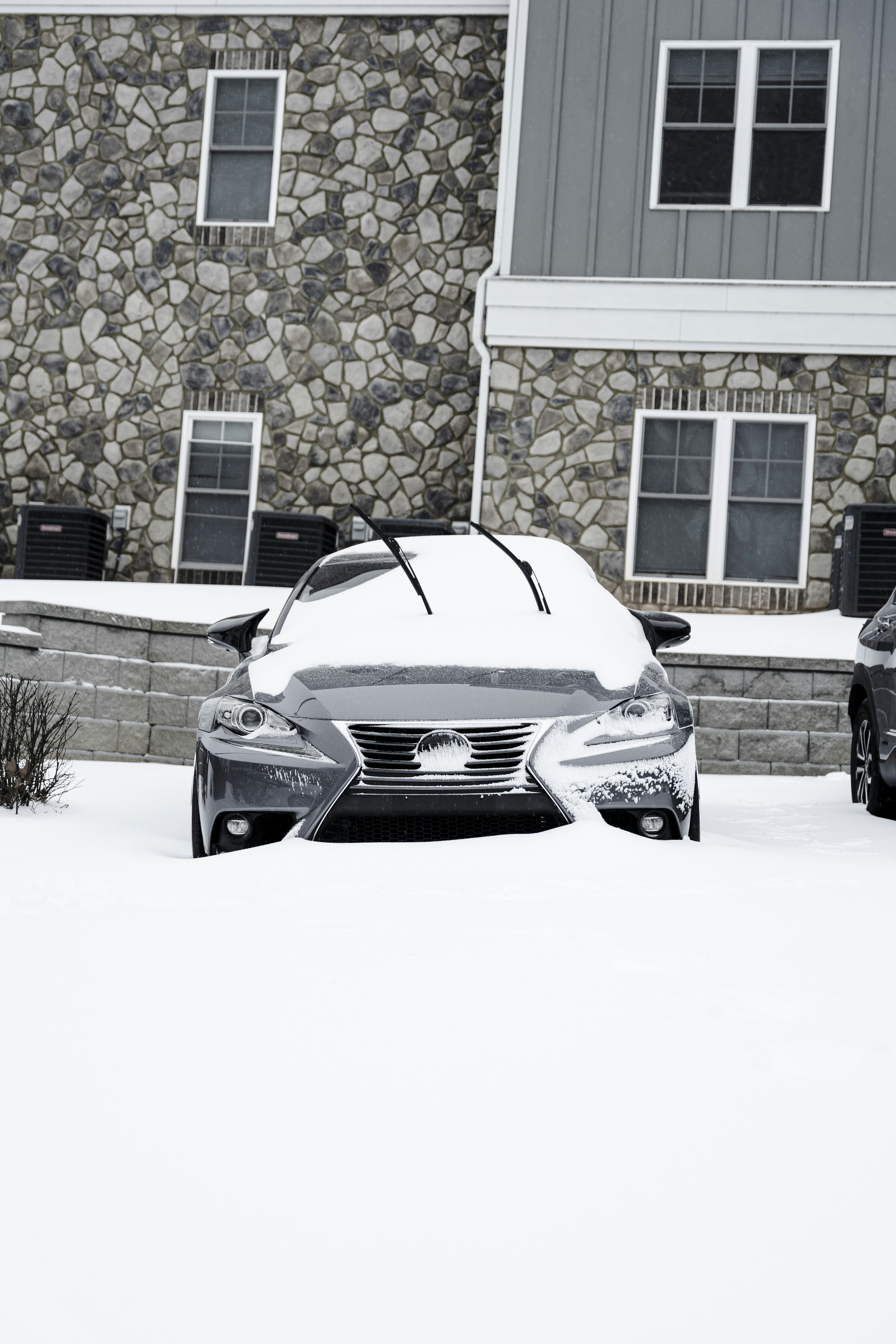 Snowbound Lexus Emerges from the Quiet Driveway