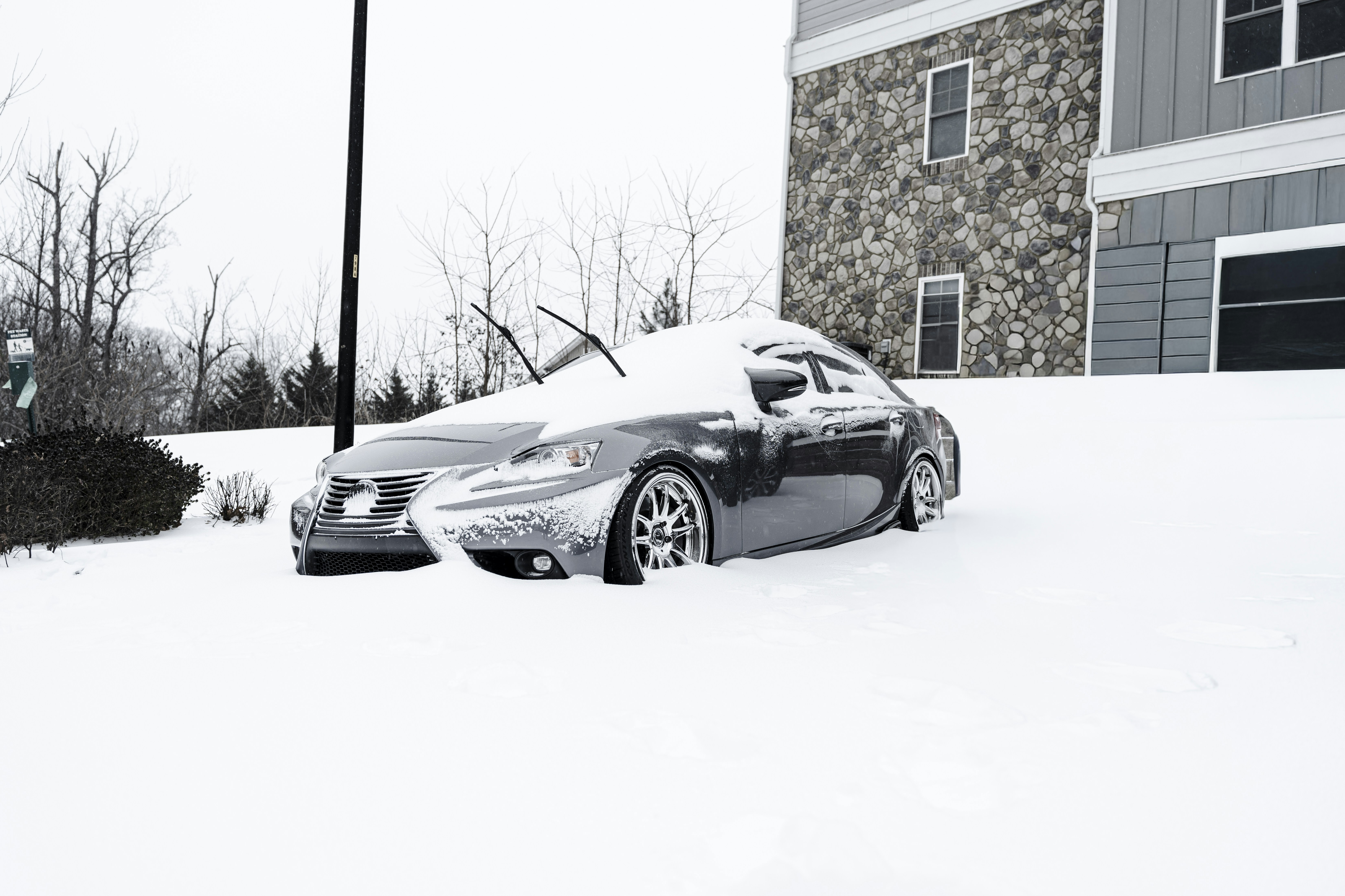 Snowbound Lexus: A Car Half-Buried in Fresh White Silence