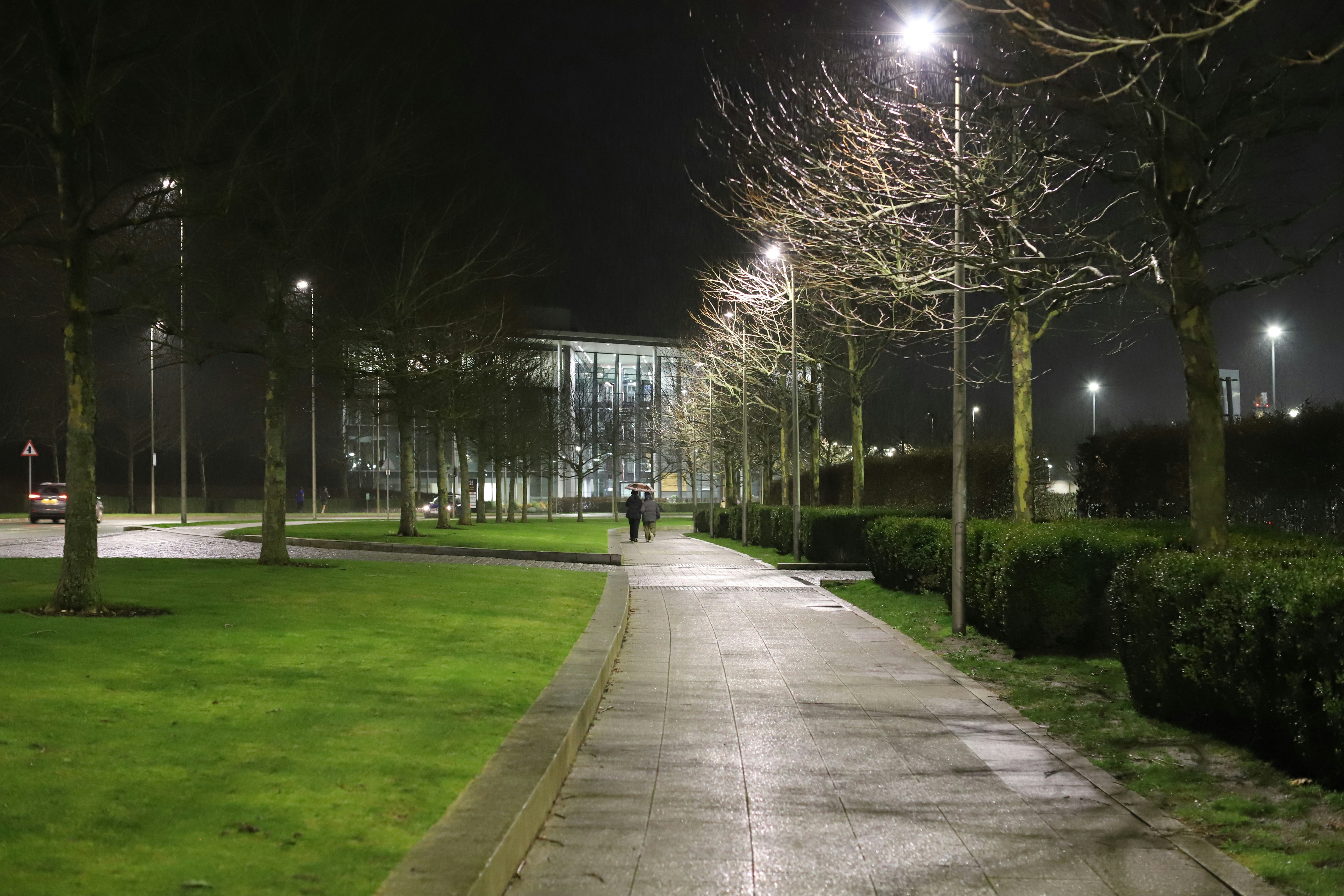 Night Walkway Beneath Strands of Streetlight Echoes