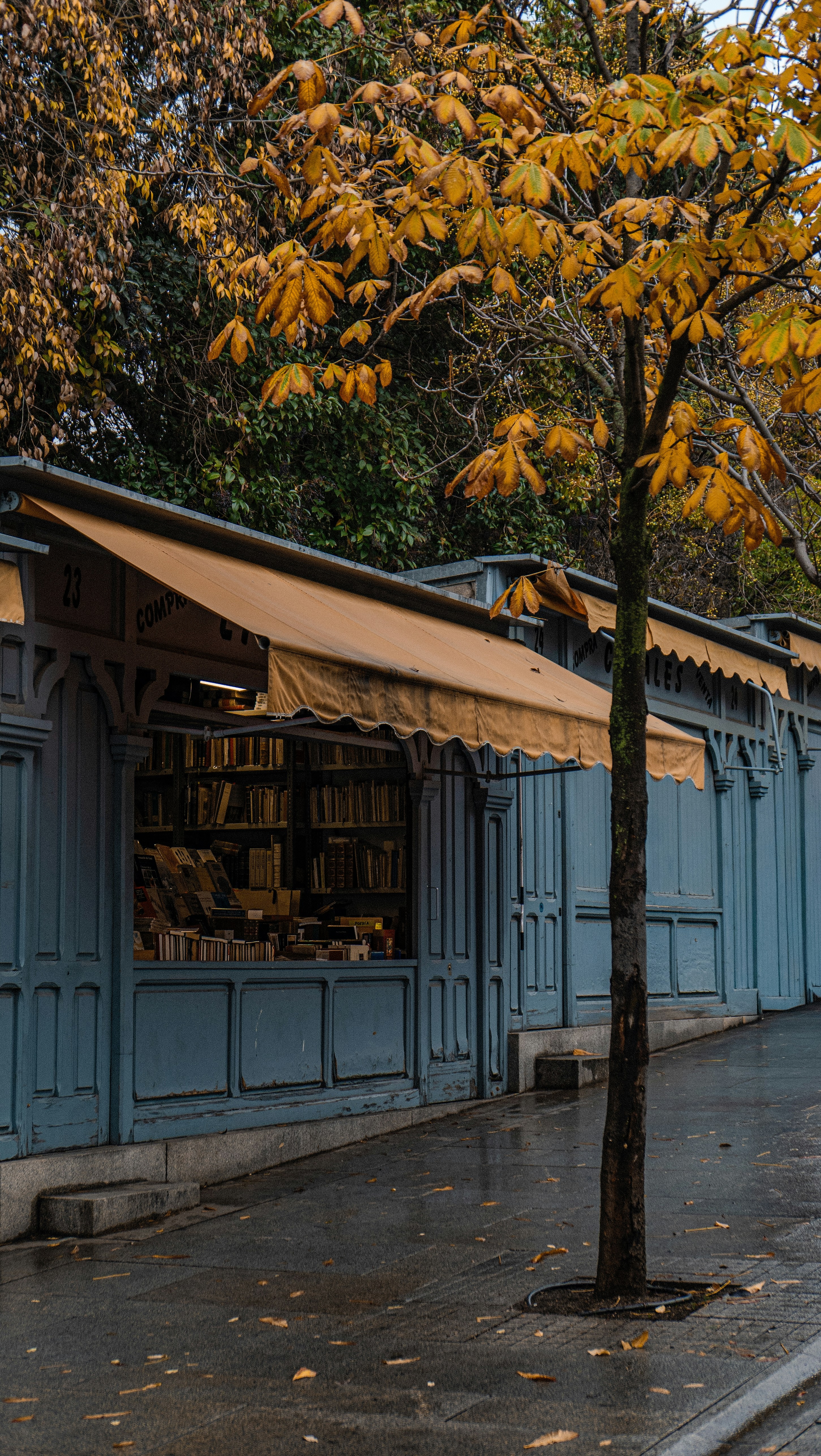 Autumn Awnings over Quiet Bookshop