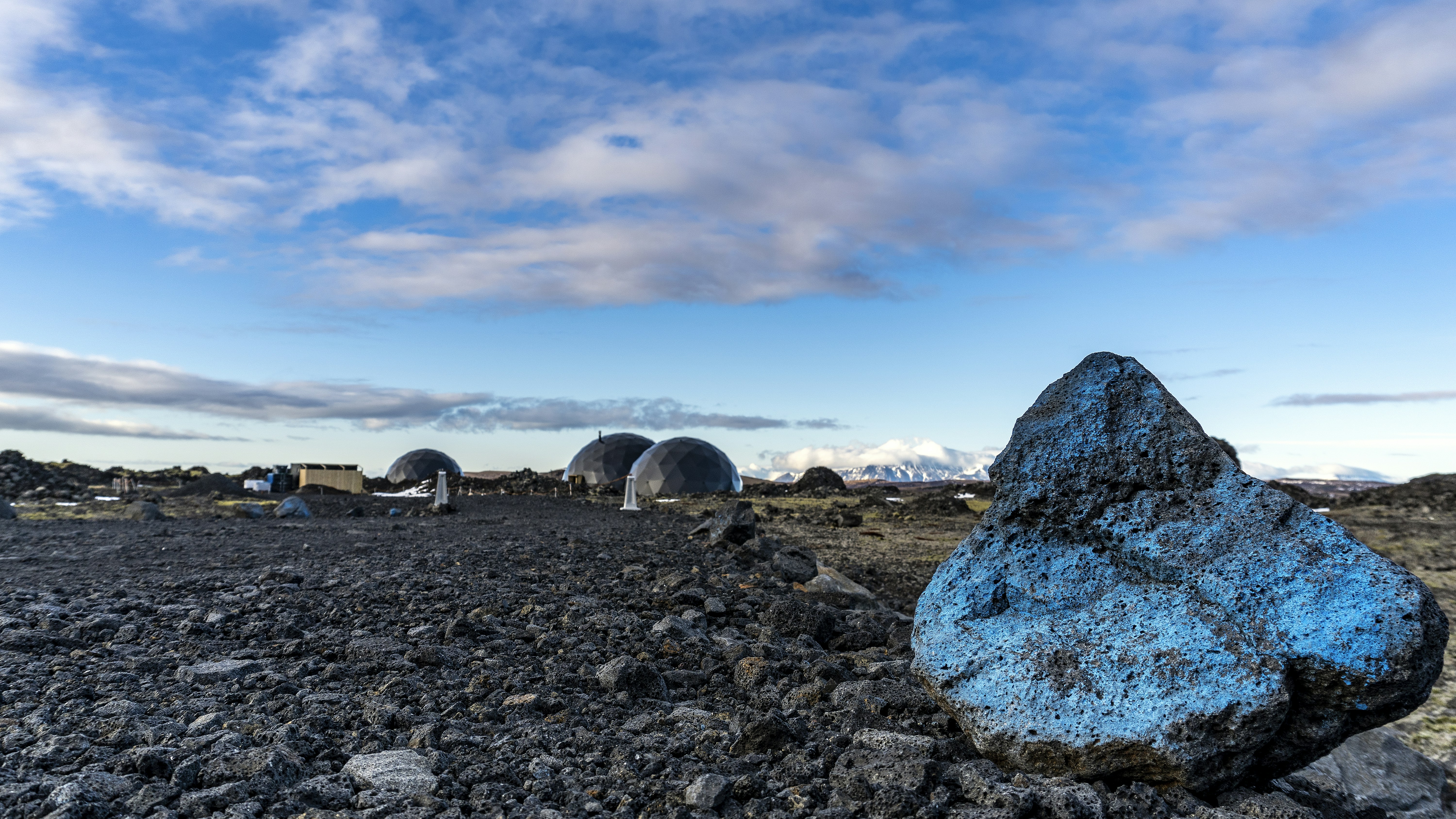 Azure Moss on Aoraki Field: A Lone Geologic Sentinel