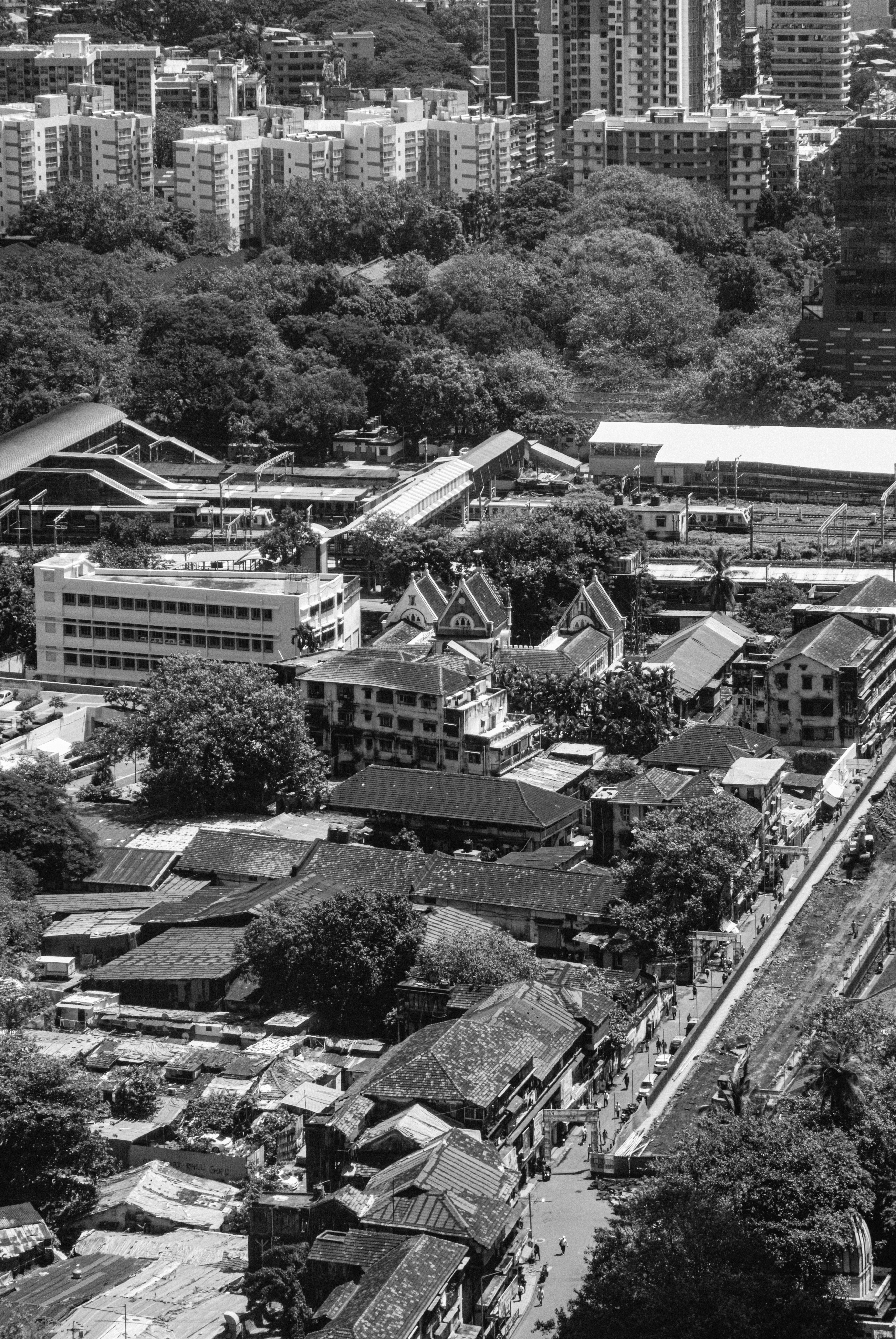 Urban Ridge: A Black-and-White Tapestry of Stacked Buildings and Verdant Gaps