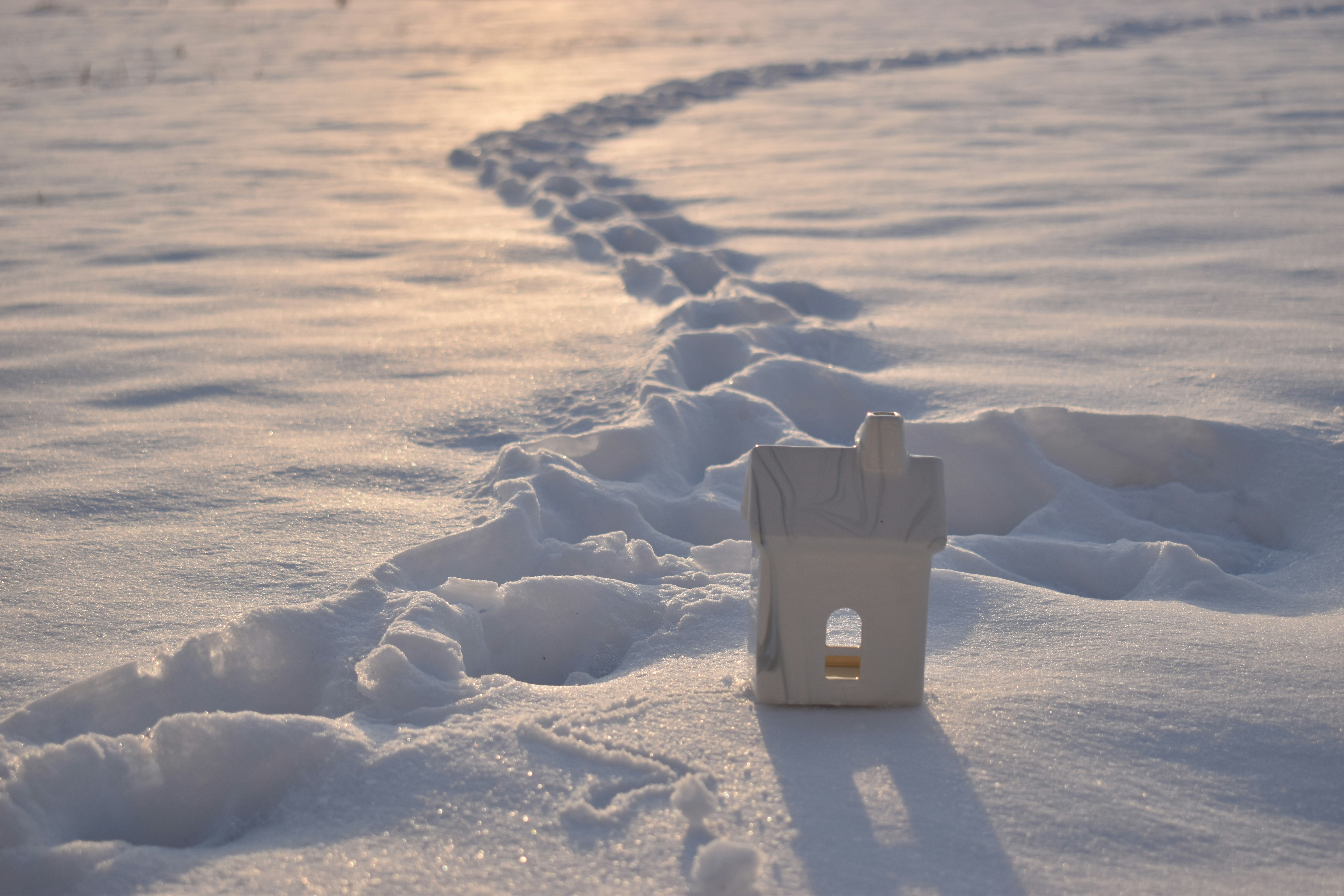 Tiny House in a Vast Quiet: A Snowy Path to a Paper House