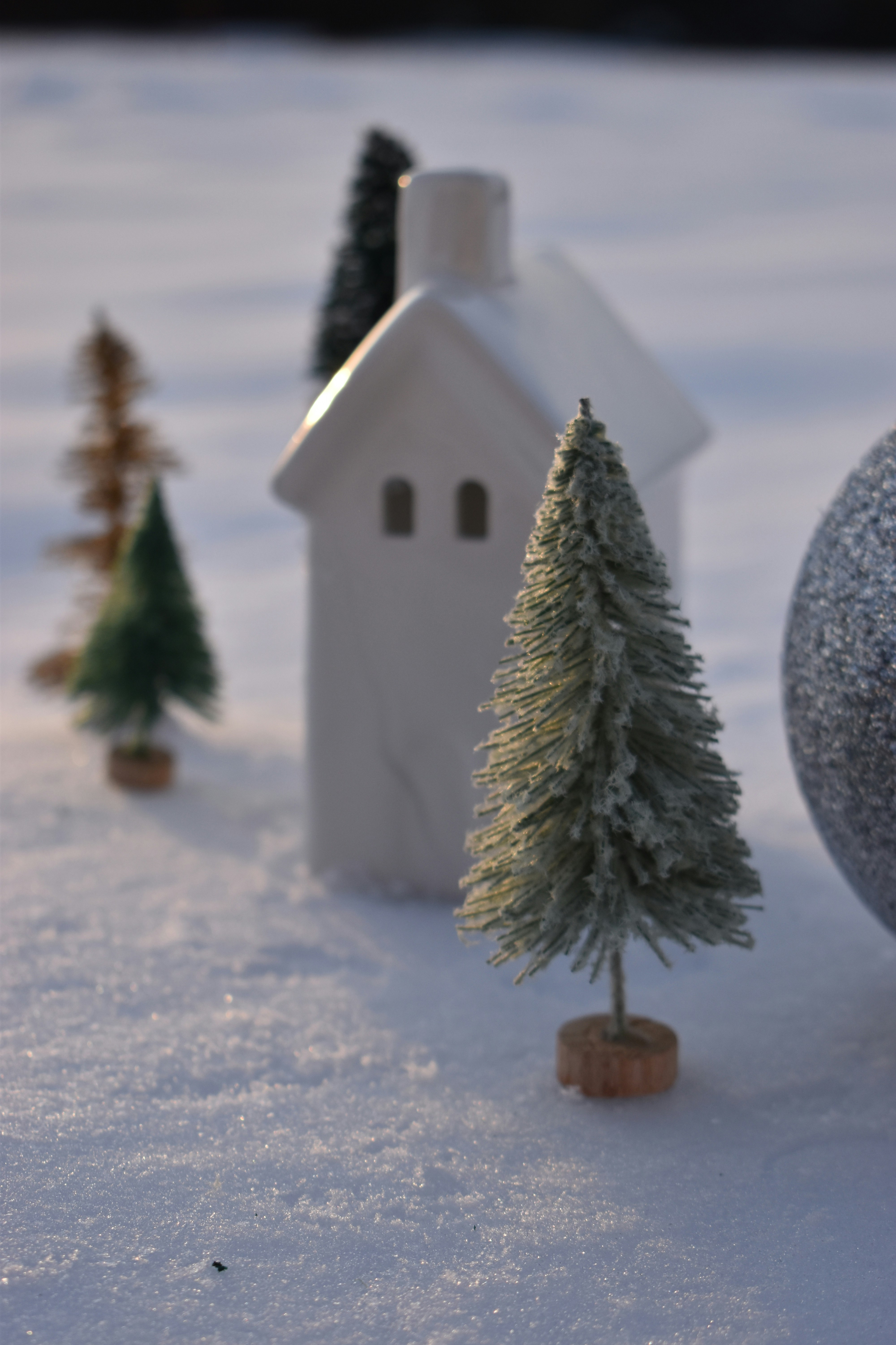 Snowy Miniature Village: Focused Forests and a Cozy House