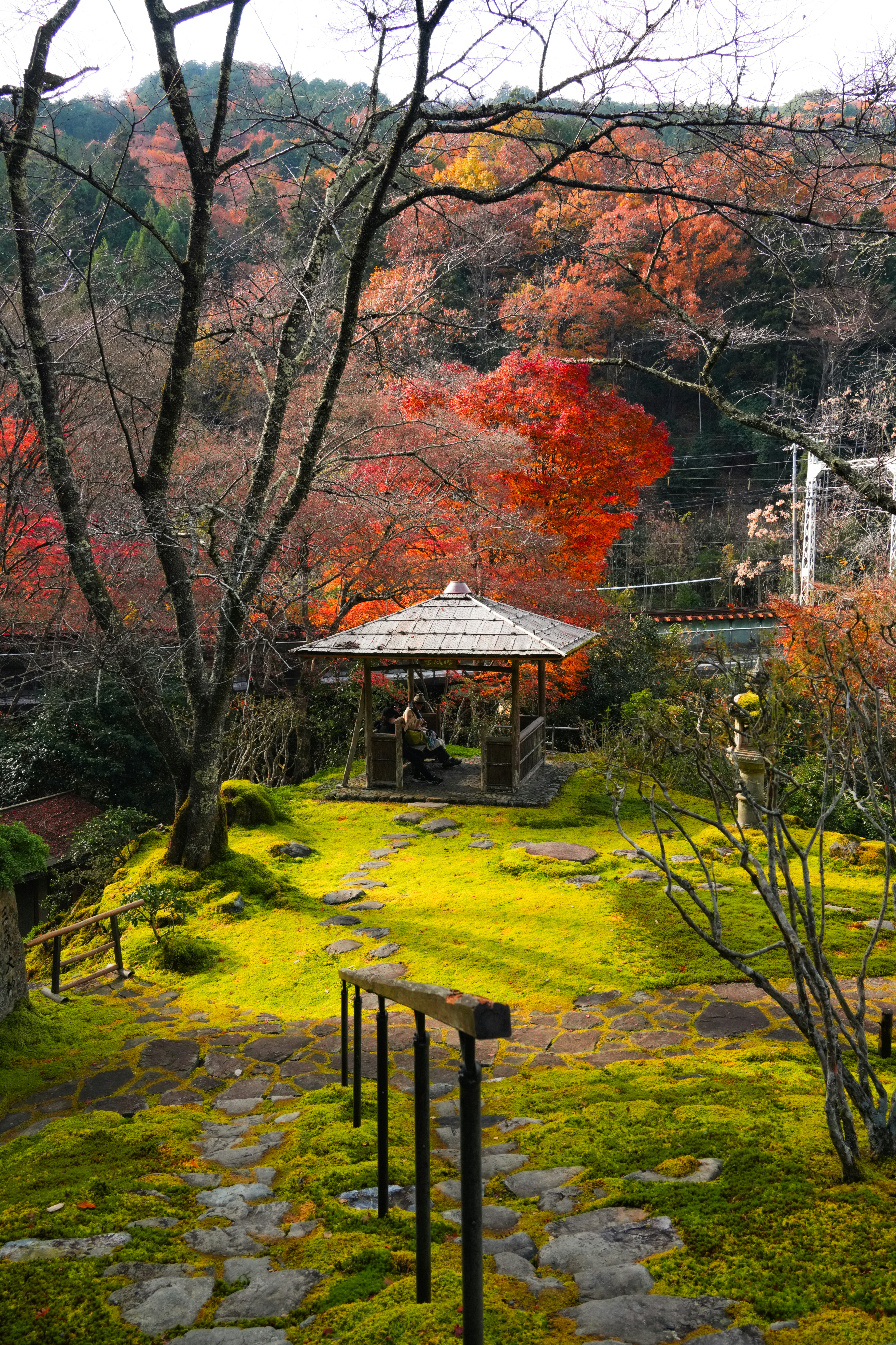 Autumn Lantern: A Quiet Gazebo Amid Moss and Maple