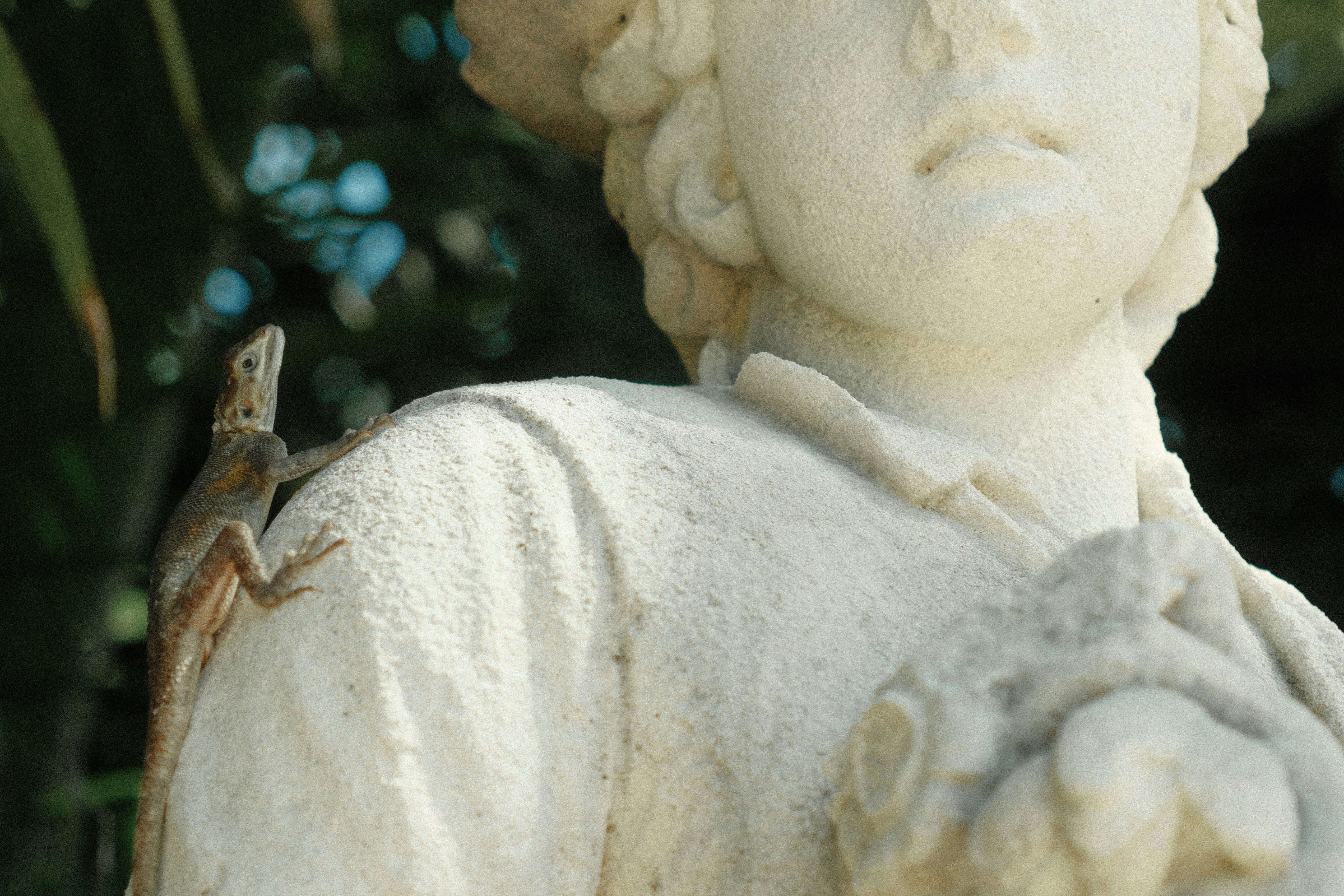 Lichened Gaze: Classical Carved Figure with a Resting Lizard