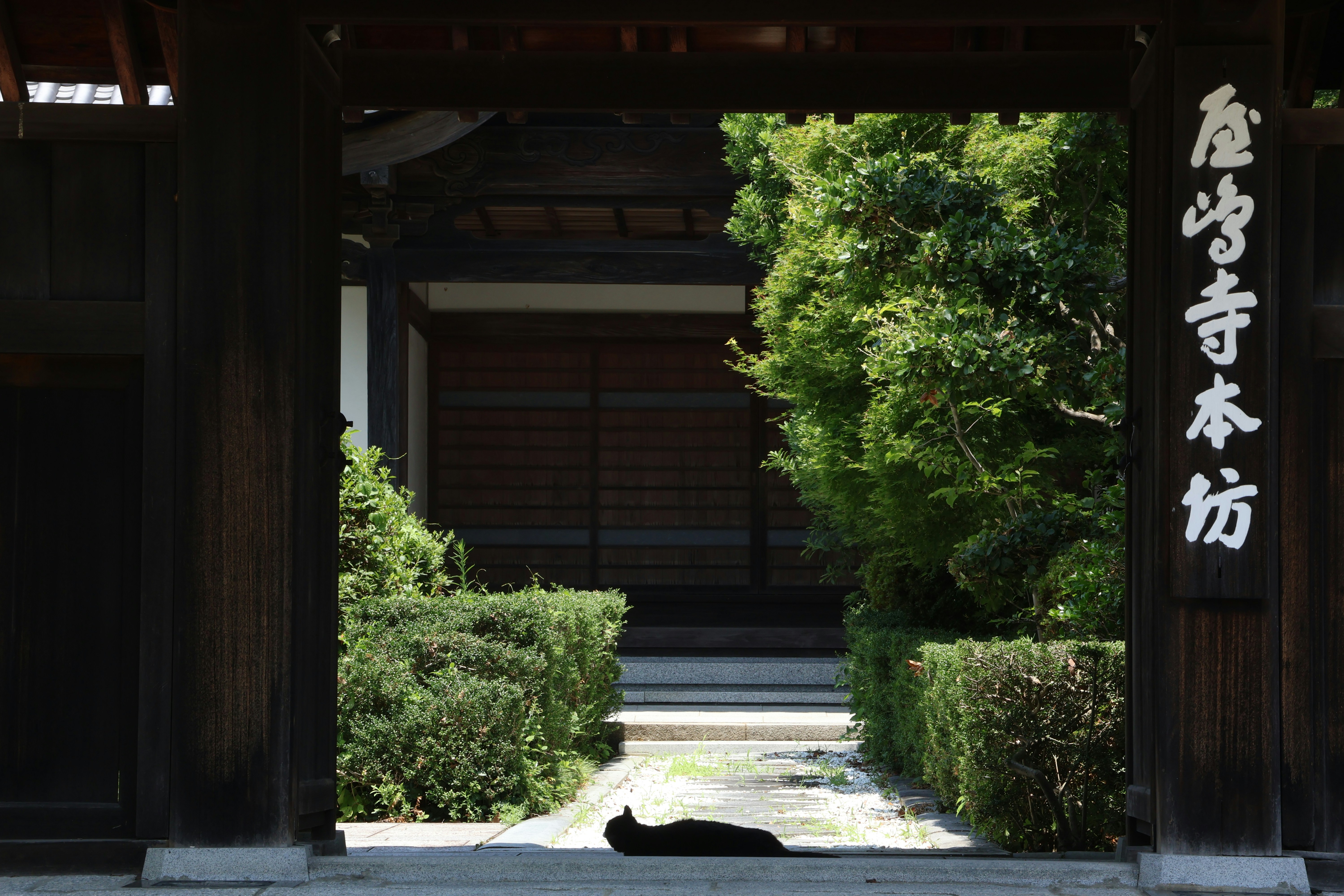 Temple Gate Framing the Silent Path