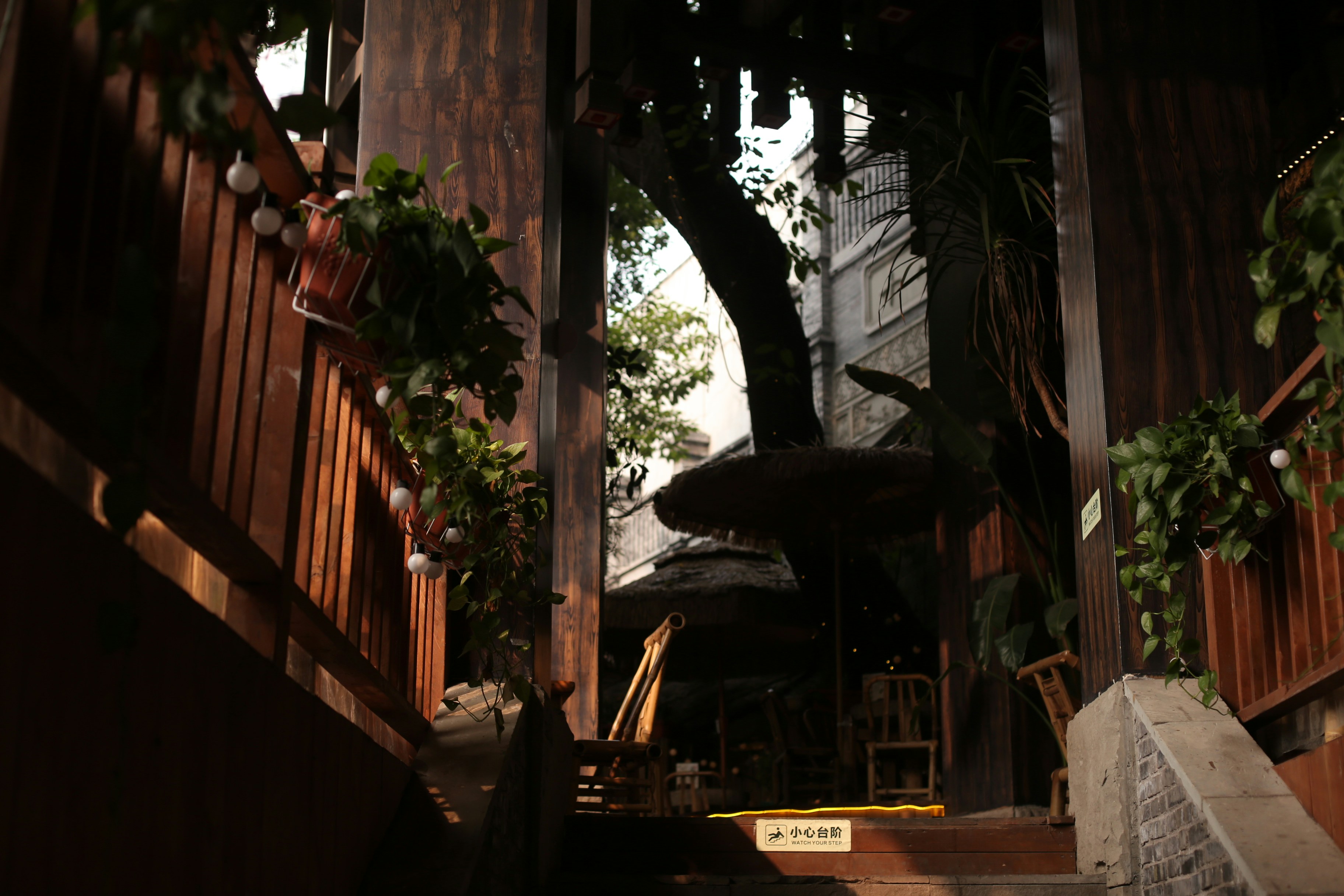 Shade and Steps: A Quiet Corridor Beyond the Gate