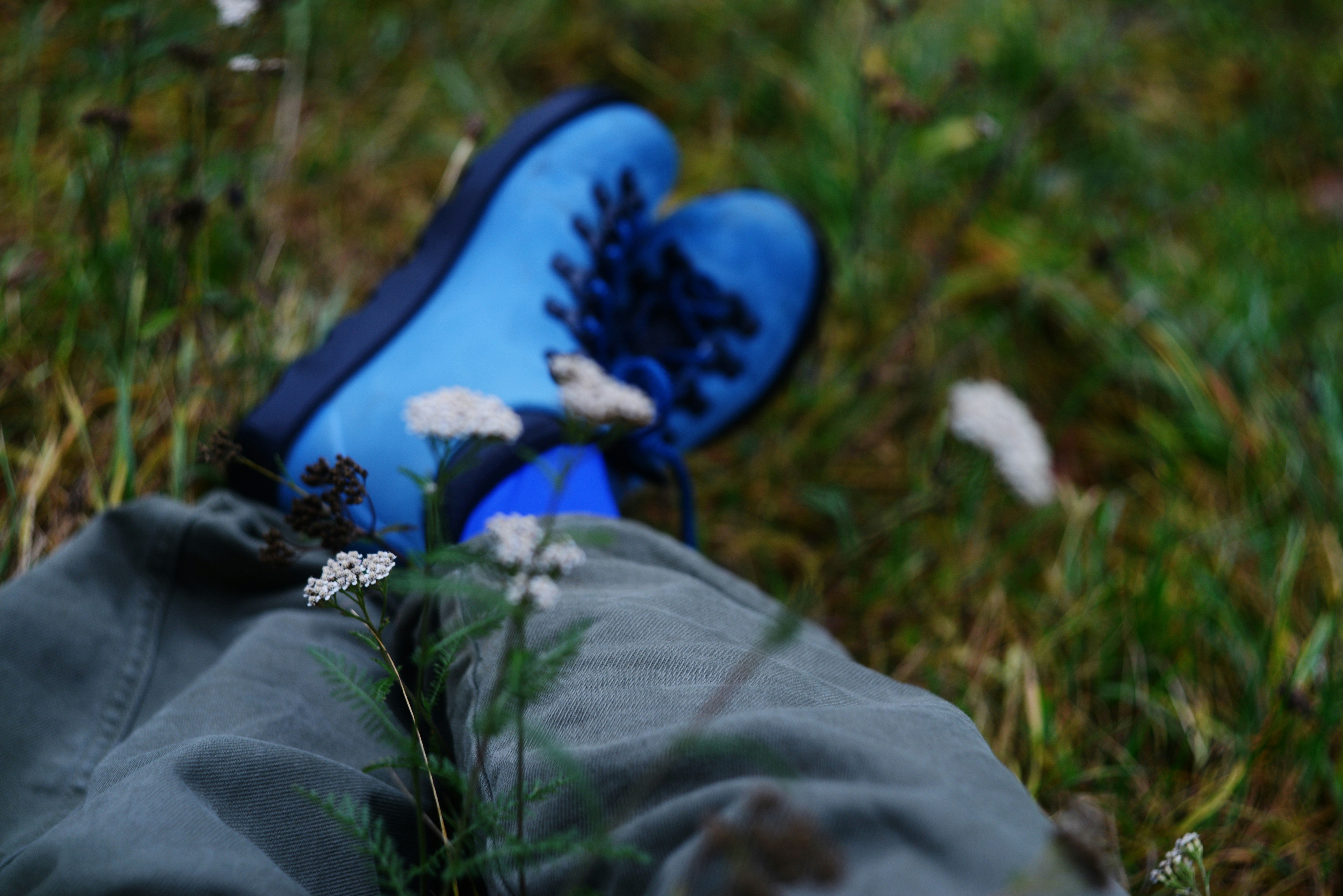 Blue Hiking Shoes Resting Above Quiet Meadow