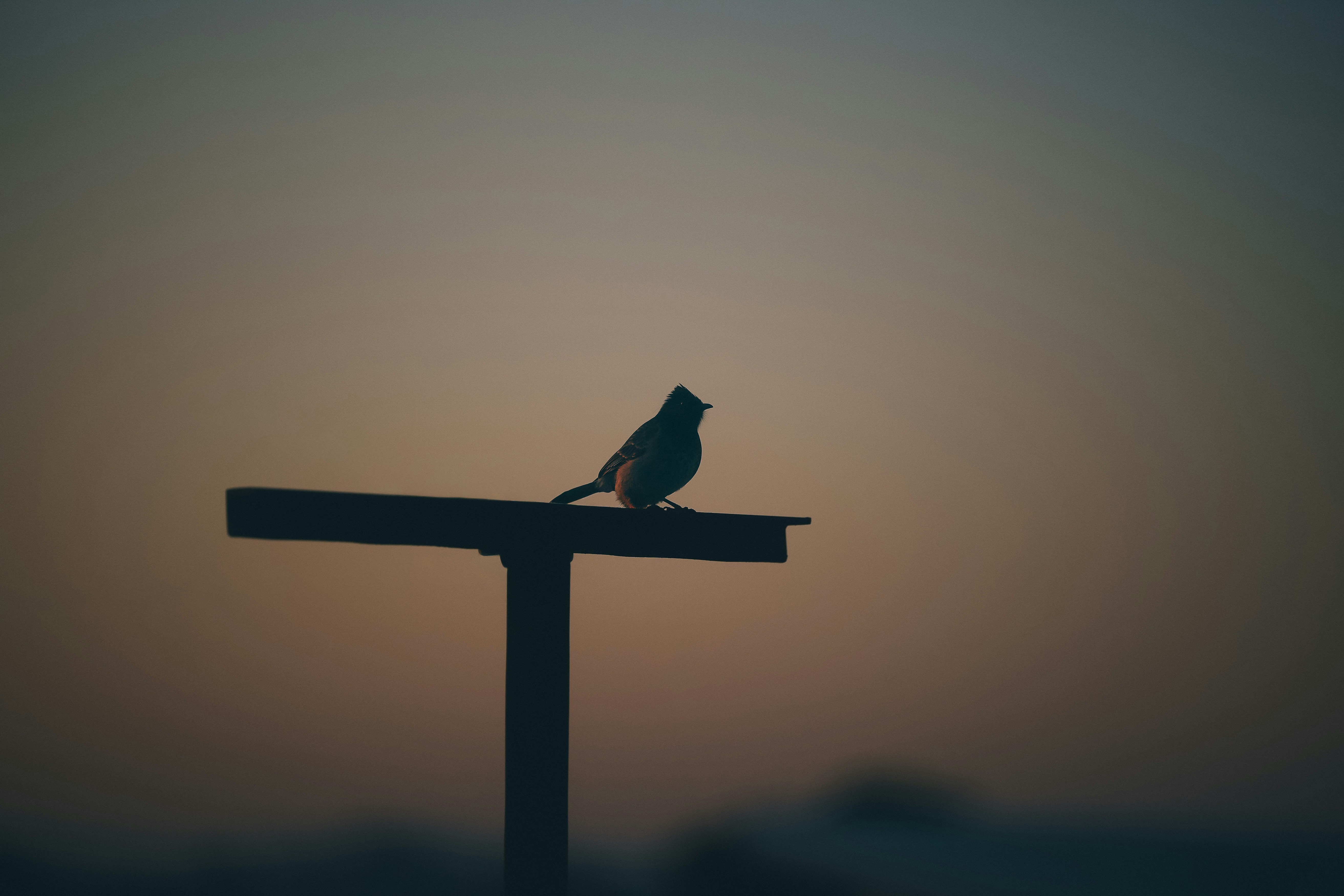 Silhouette on a Crossbar at Dusk