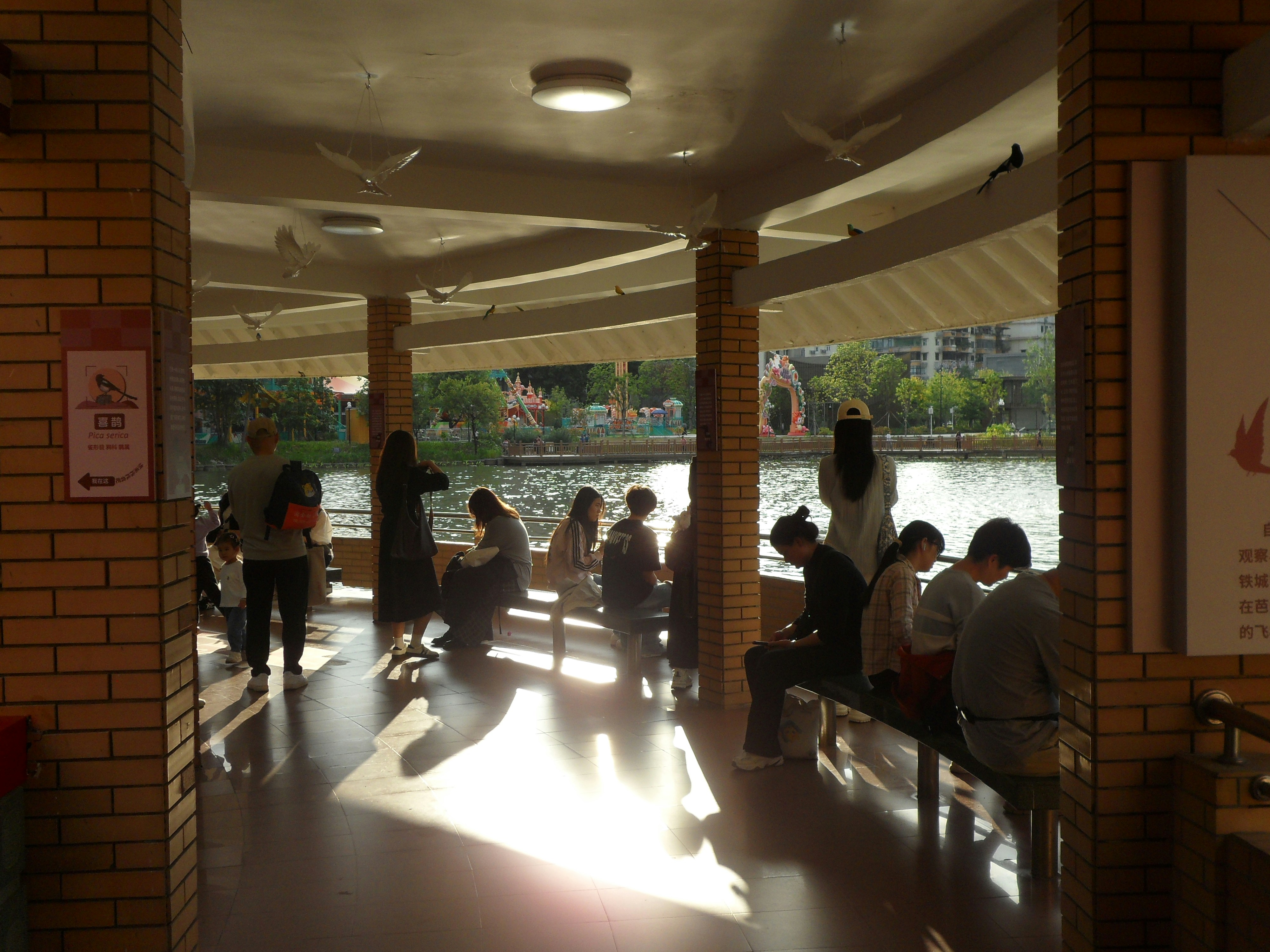 A group people sit down and spine-bashing in gazebo.