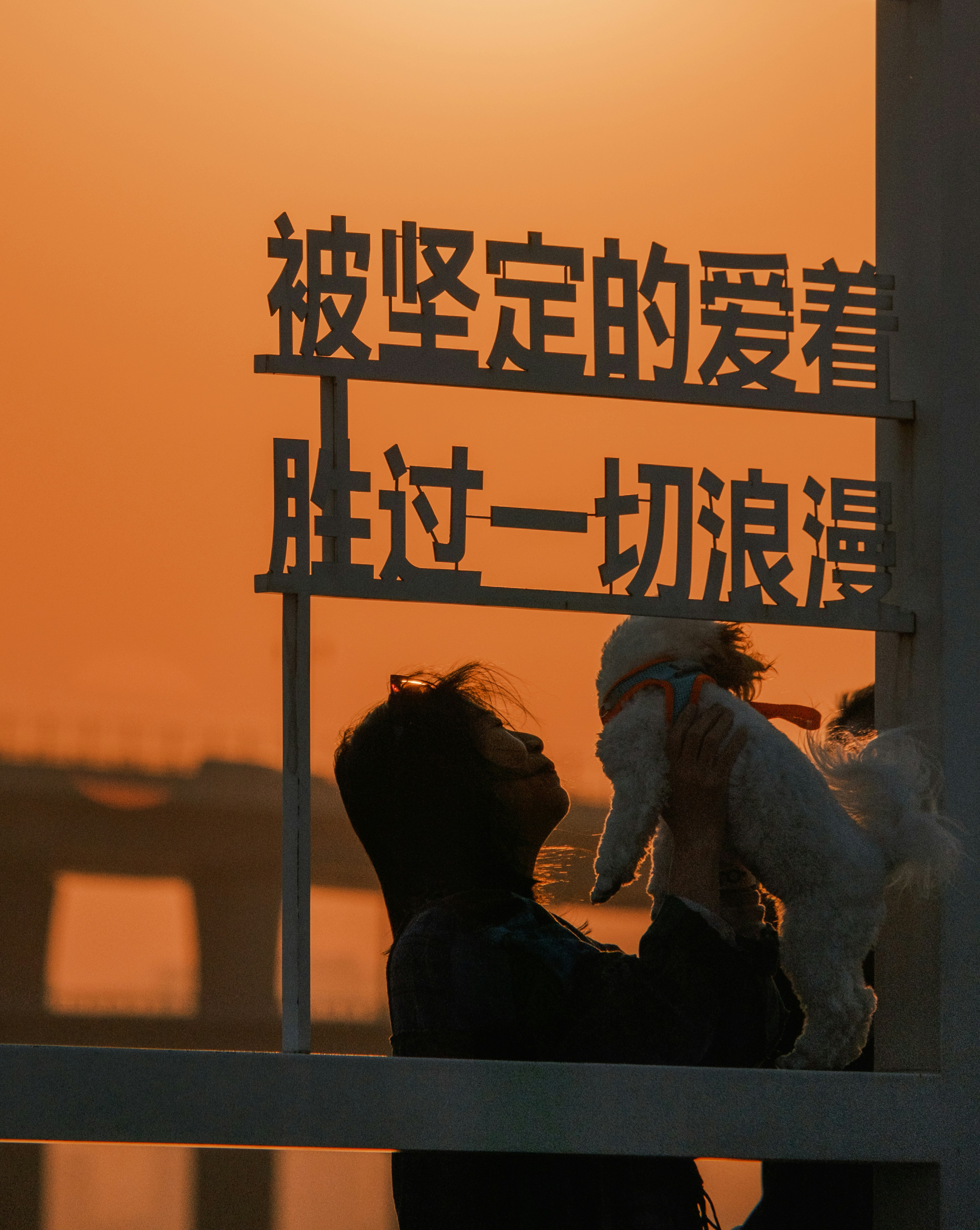 Silhouette of a Child and Dog at Sunset Beneath a Sign with Chinese Characters
