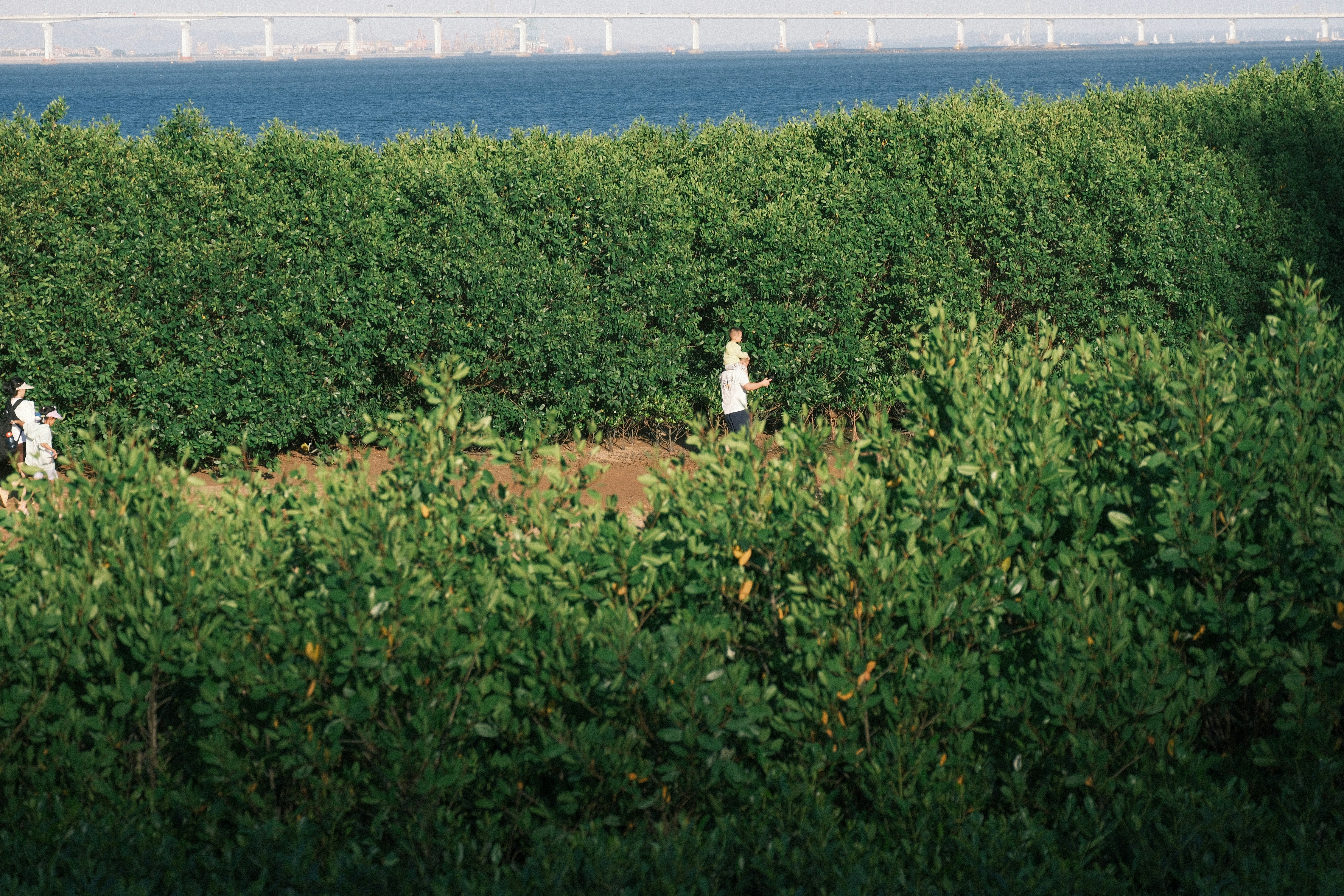 Hidden Figures Along the Dune Path