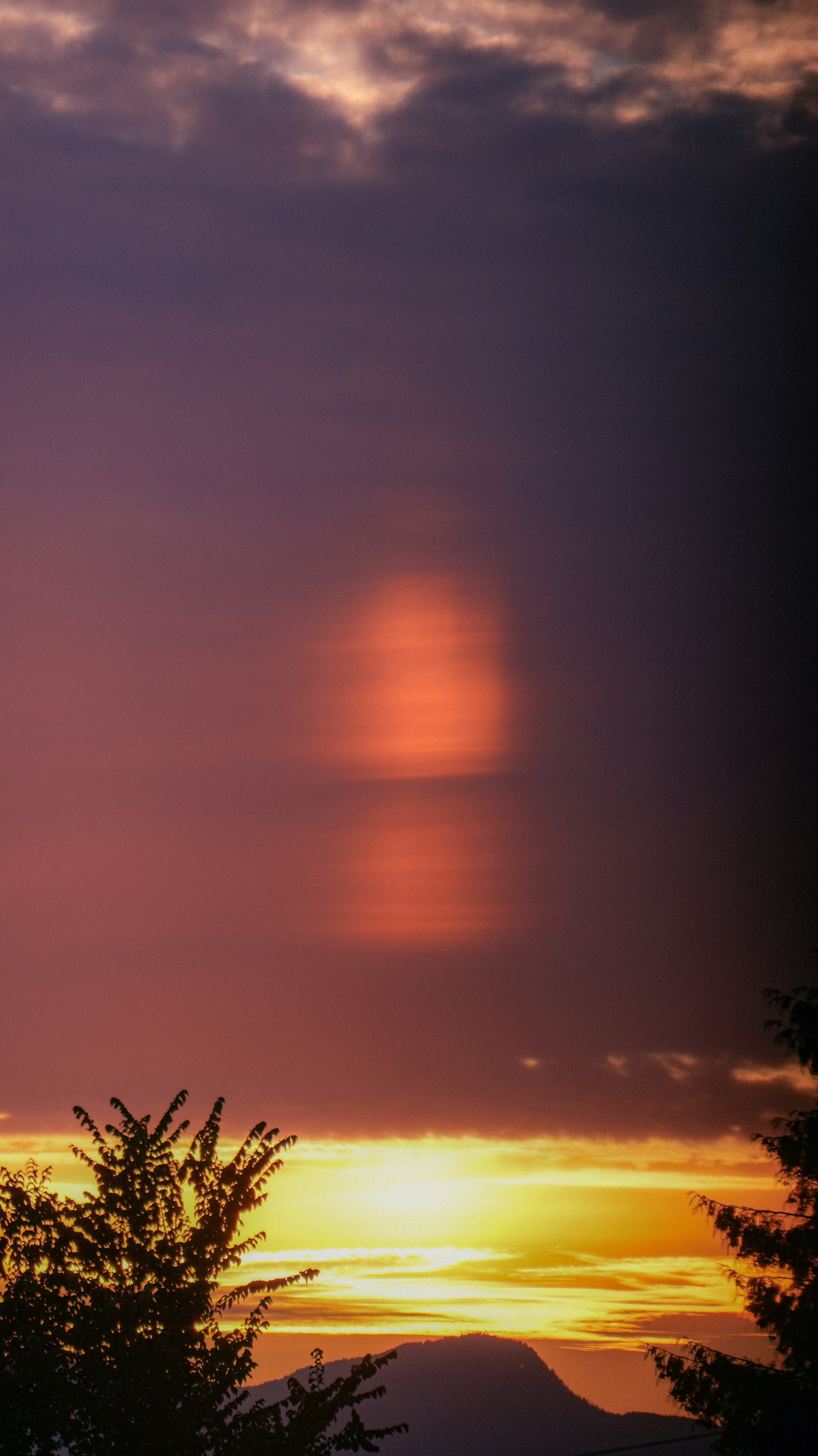 Silhouette of Trees Framing a Golden Sunset Over Calm Water