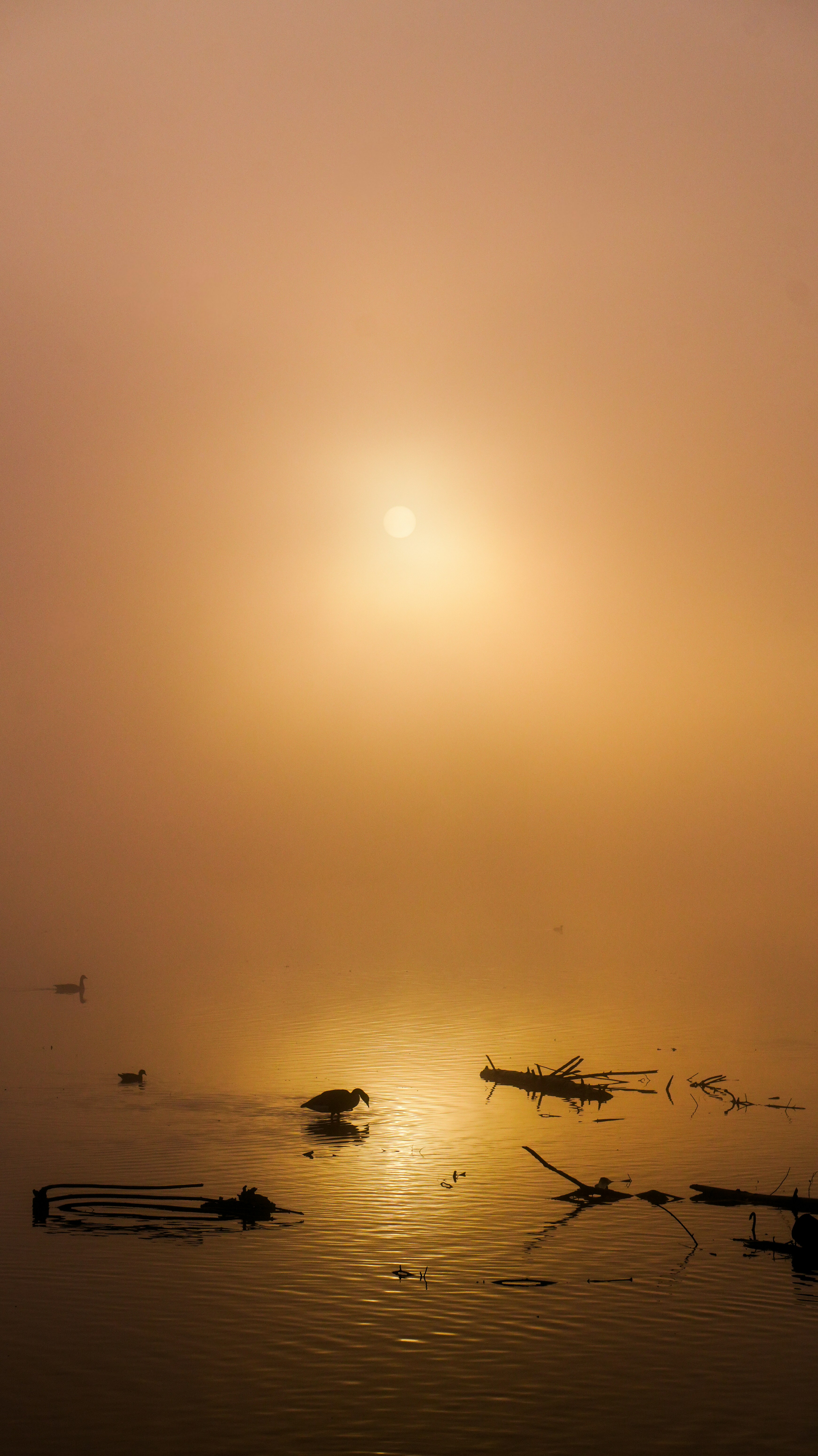 Sun-bleached Mist over a Quiet Shore
