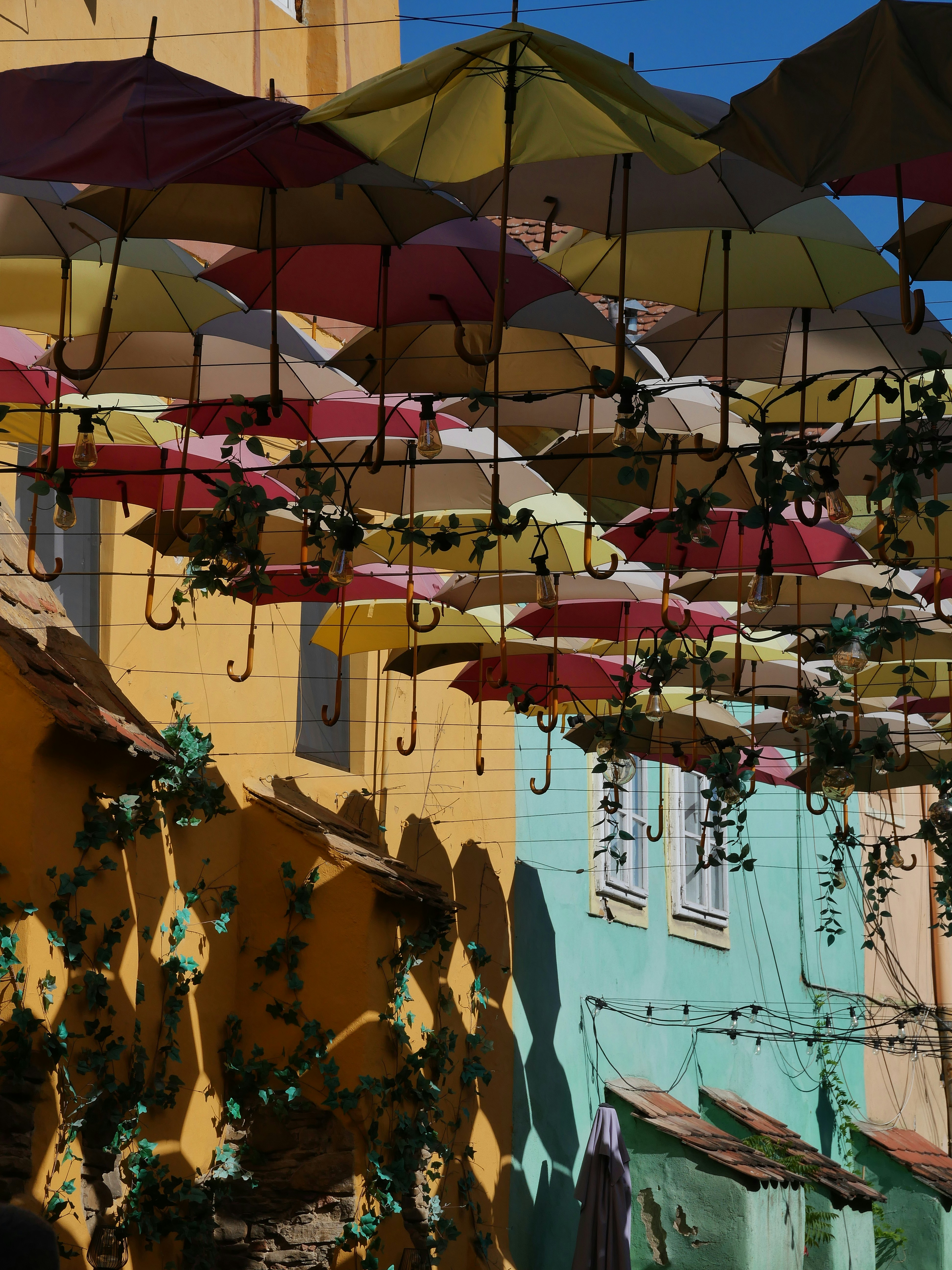 Colorful umbrellas create a dense canopy above sunlit buildings with warm yellow and turquoise facades; vines cling to walls, casting playful shadows and a lively urban scene.