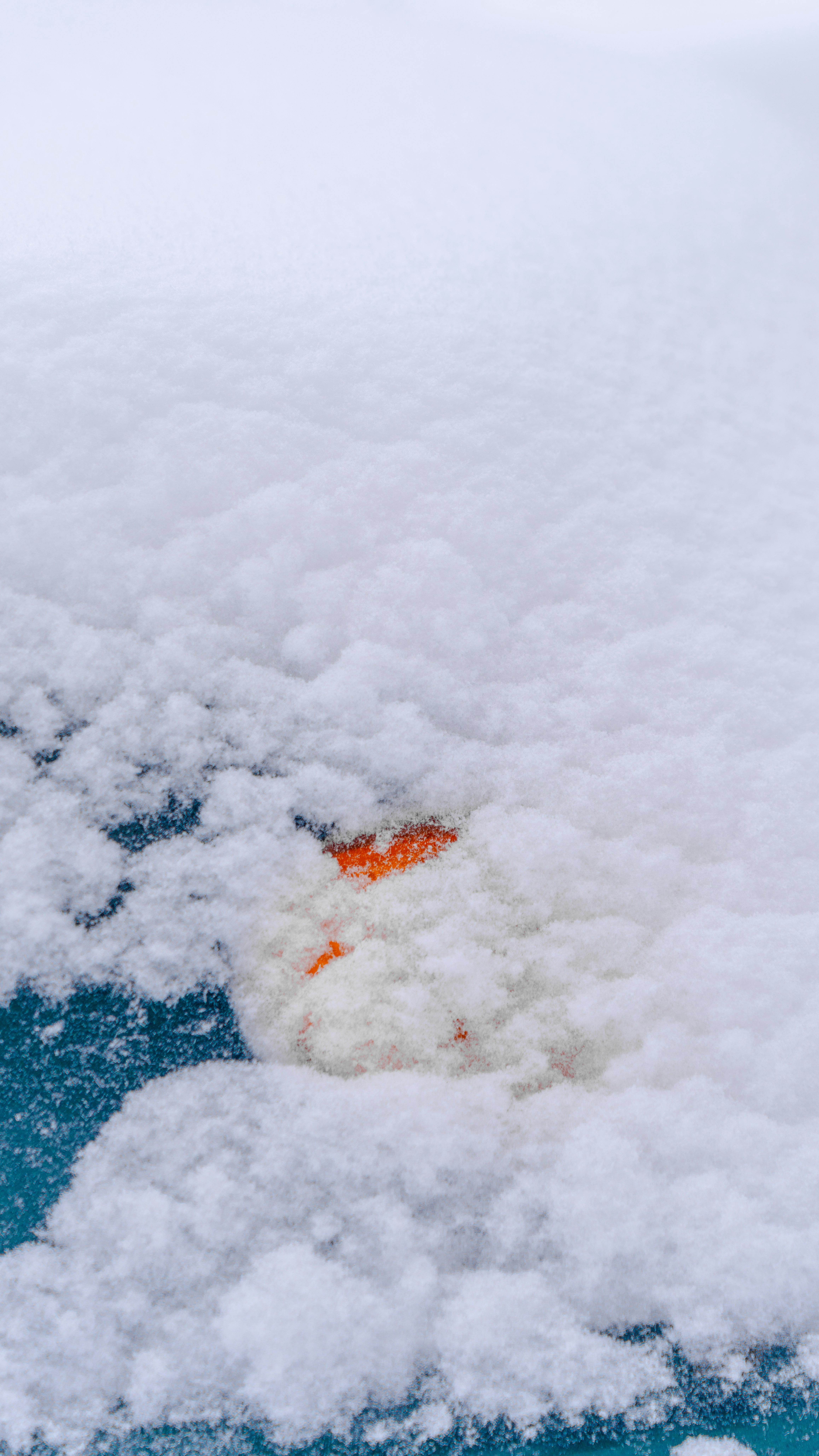 Peeking Through a Snow-Covered Window