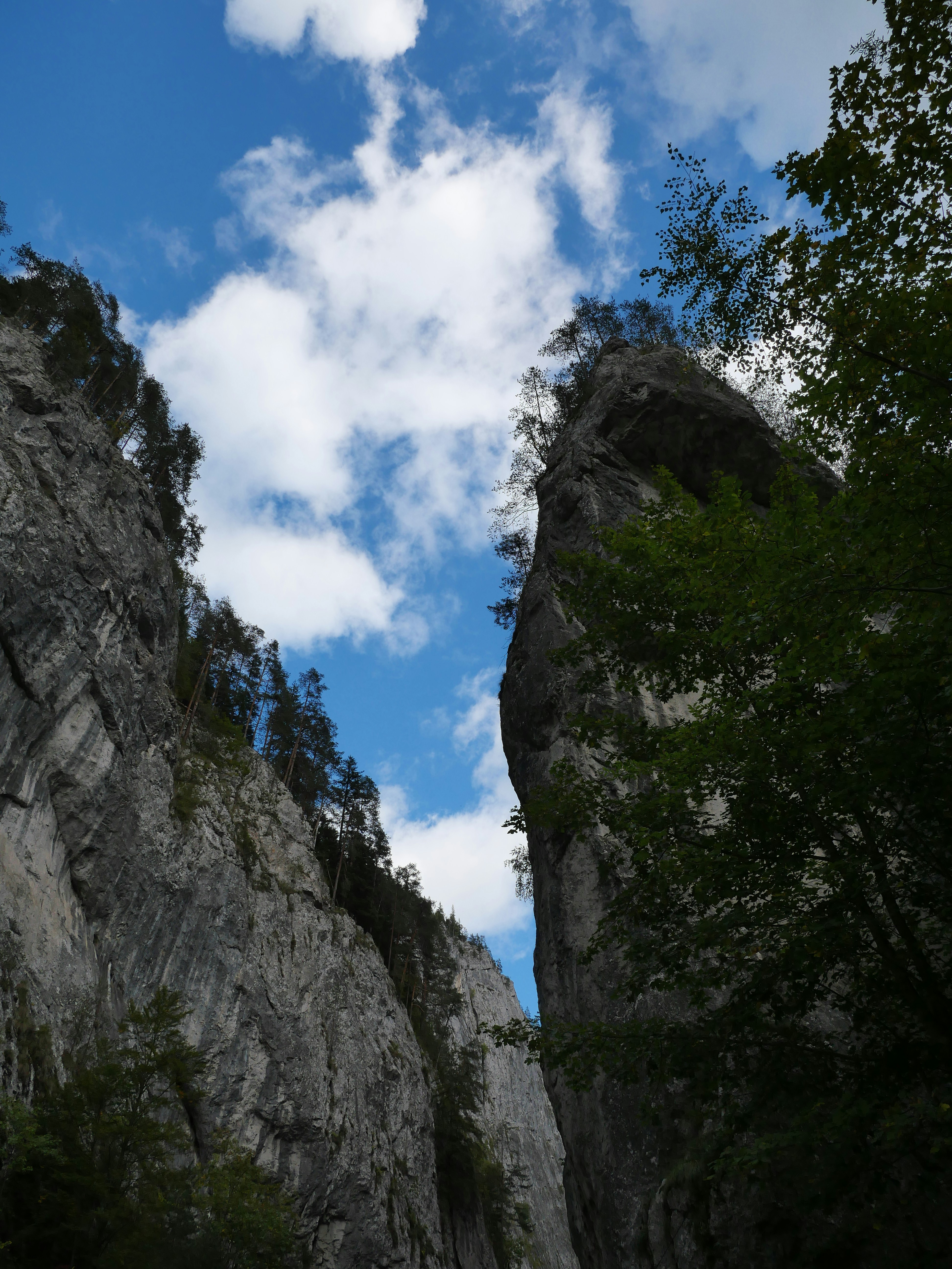 Skyward Rift: Narrow Gorge Between Weathered Cliffs