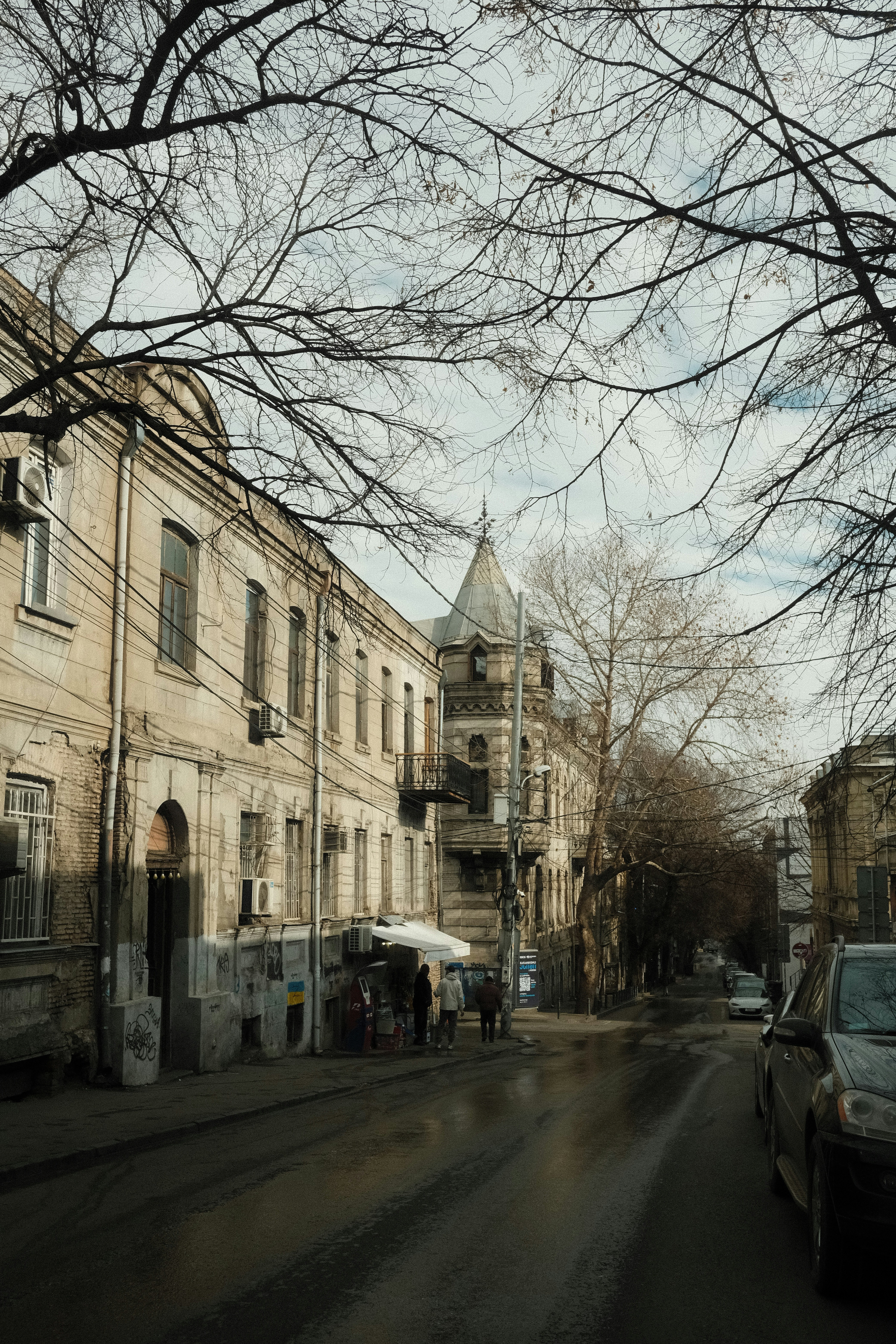 Courtyard Veil: A Narrow Street Framed by Bare Trees