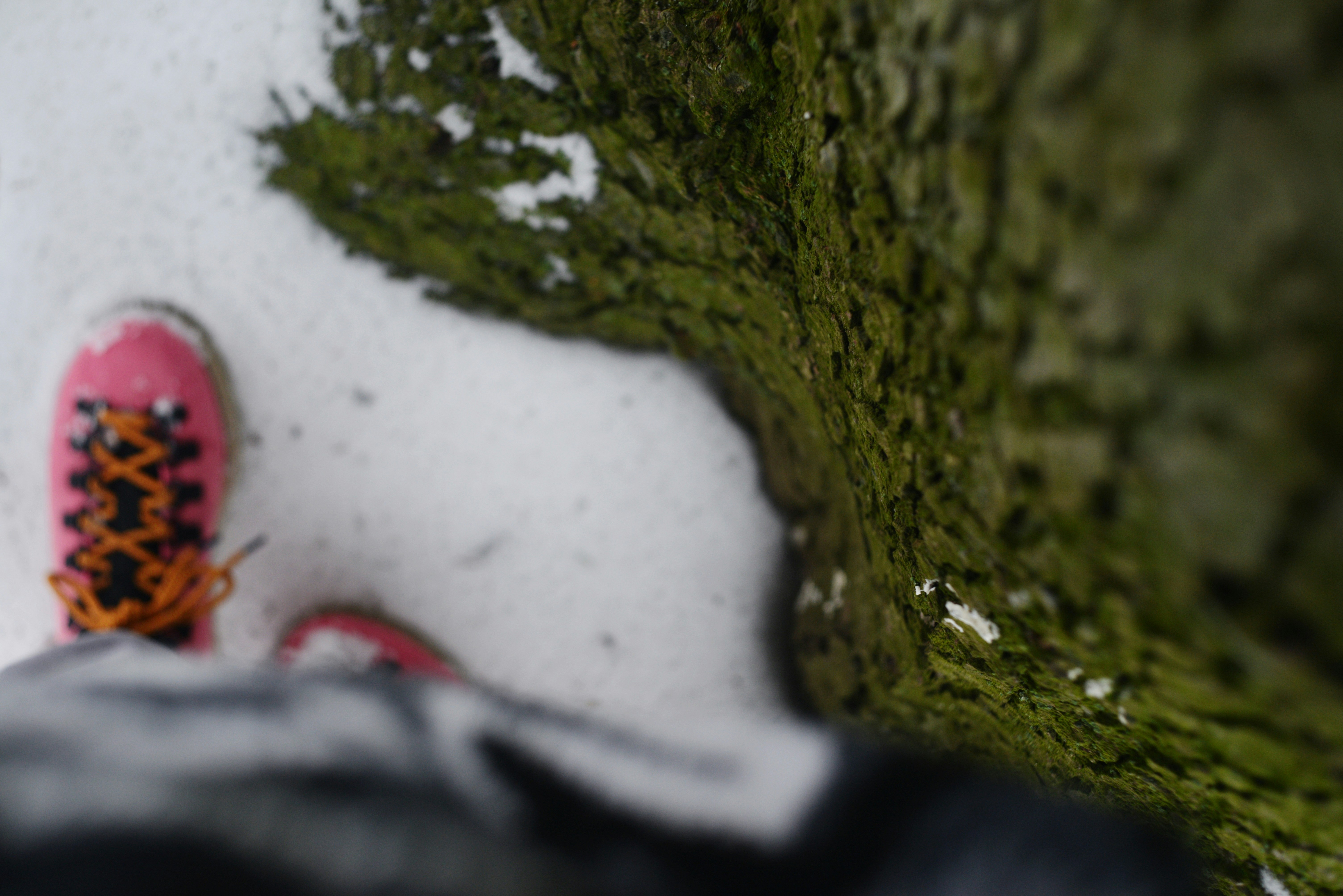 Trail Footsteps: Pink Hiking Boot Meets Mossy Cliff Edge
