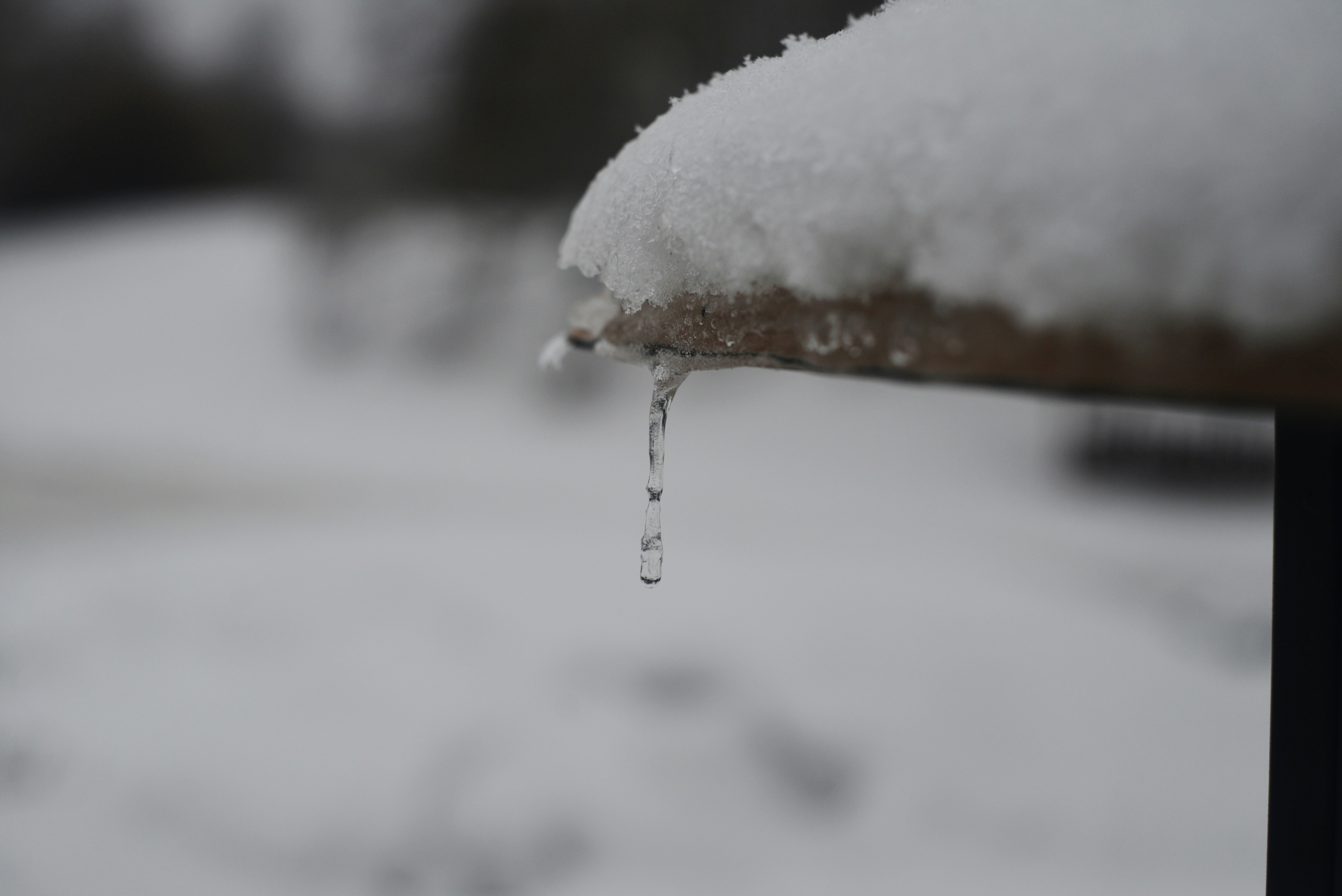 Close-up of a snow-dusted railing with a hanging icicle