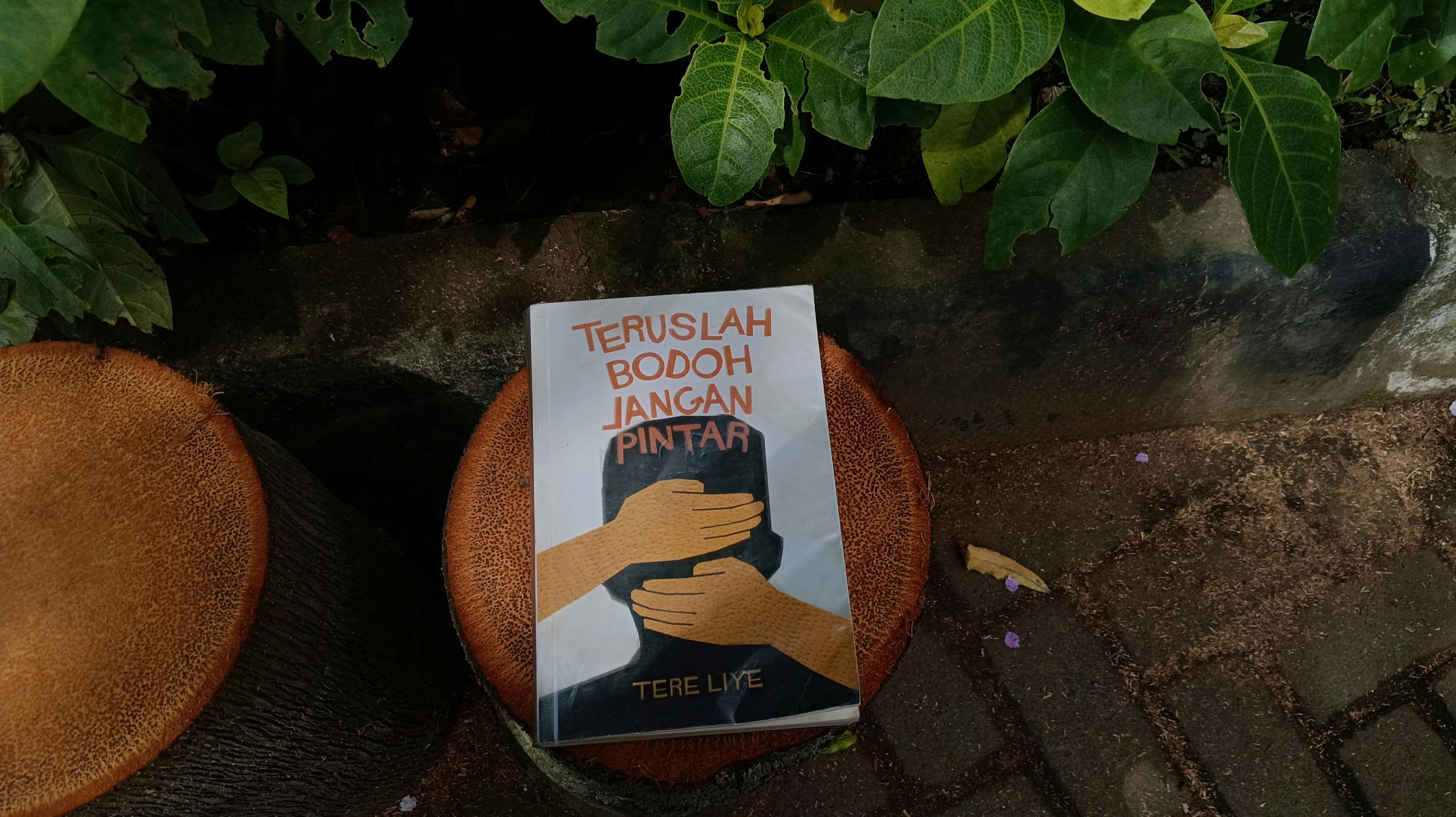 Book with cover showing silhouetted head with hands over eyes.