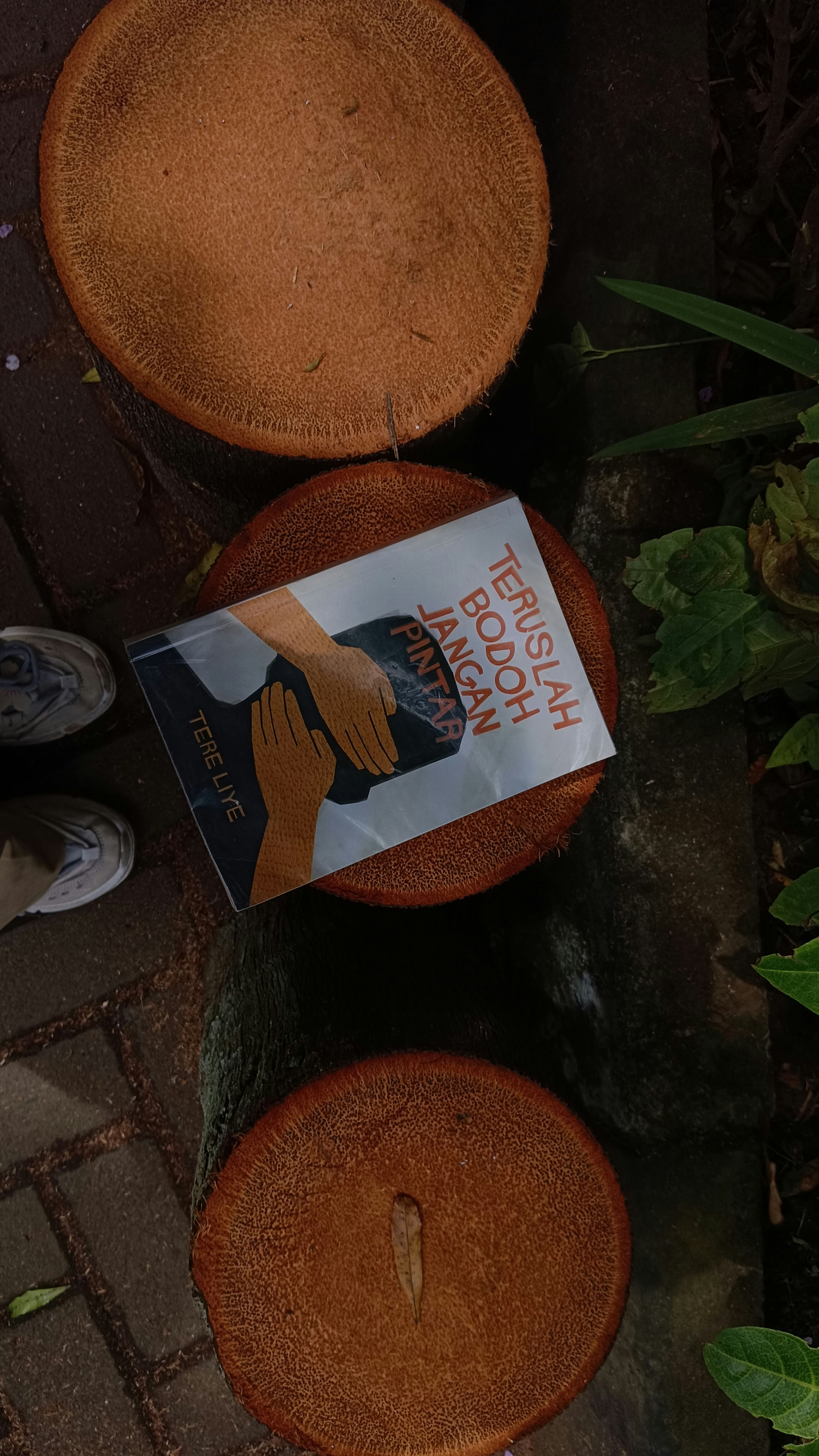 Book rests on wooden stumps with plants nearby.