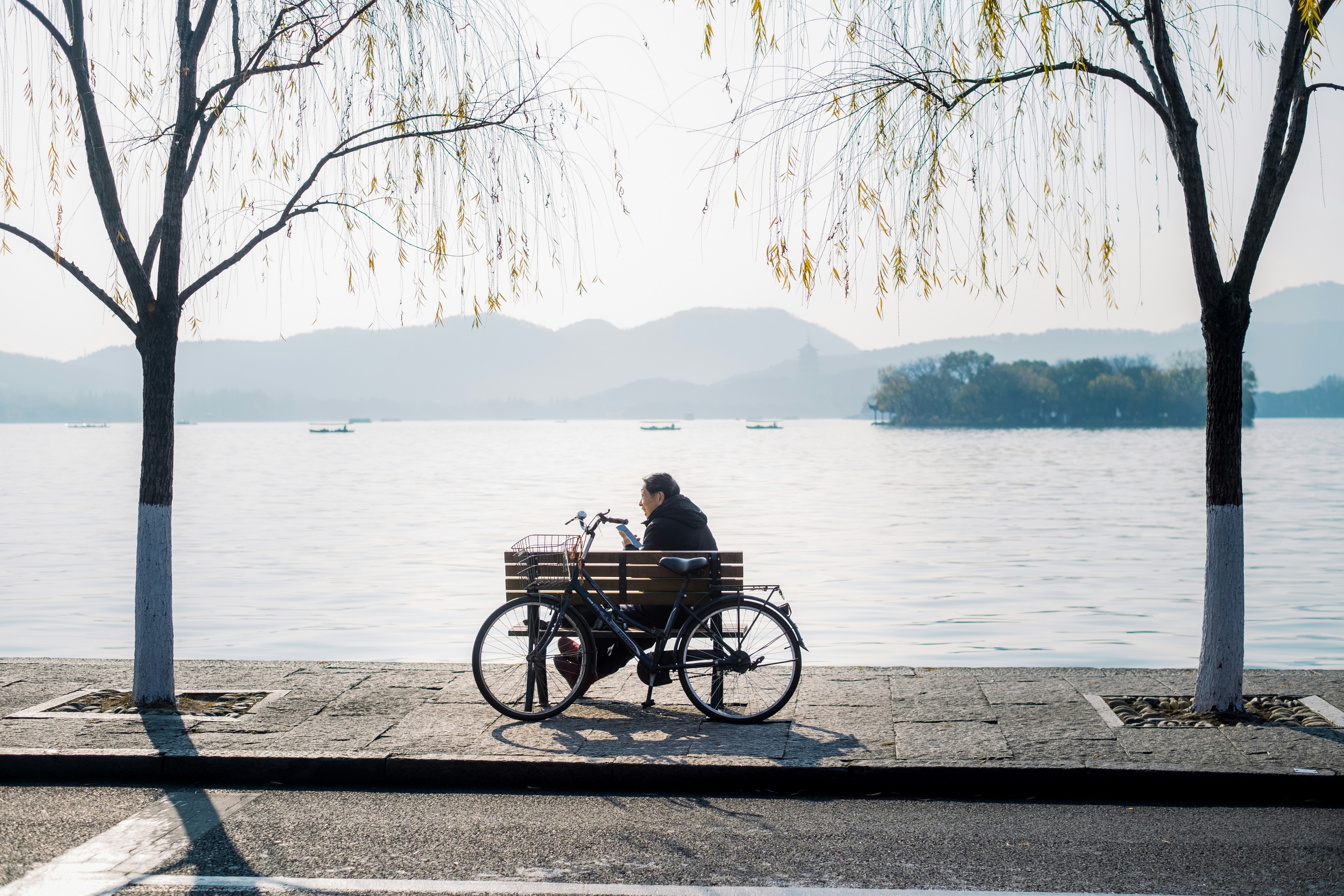 A Quiet Ride by the Lake: Couple on a Bicycle Beside Willowy Trees