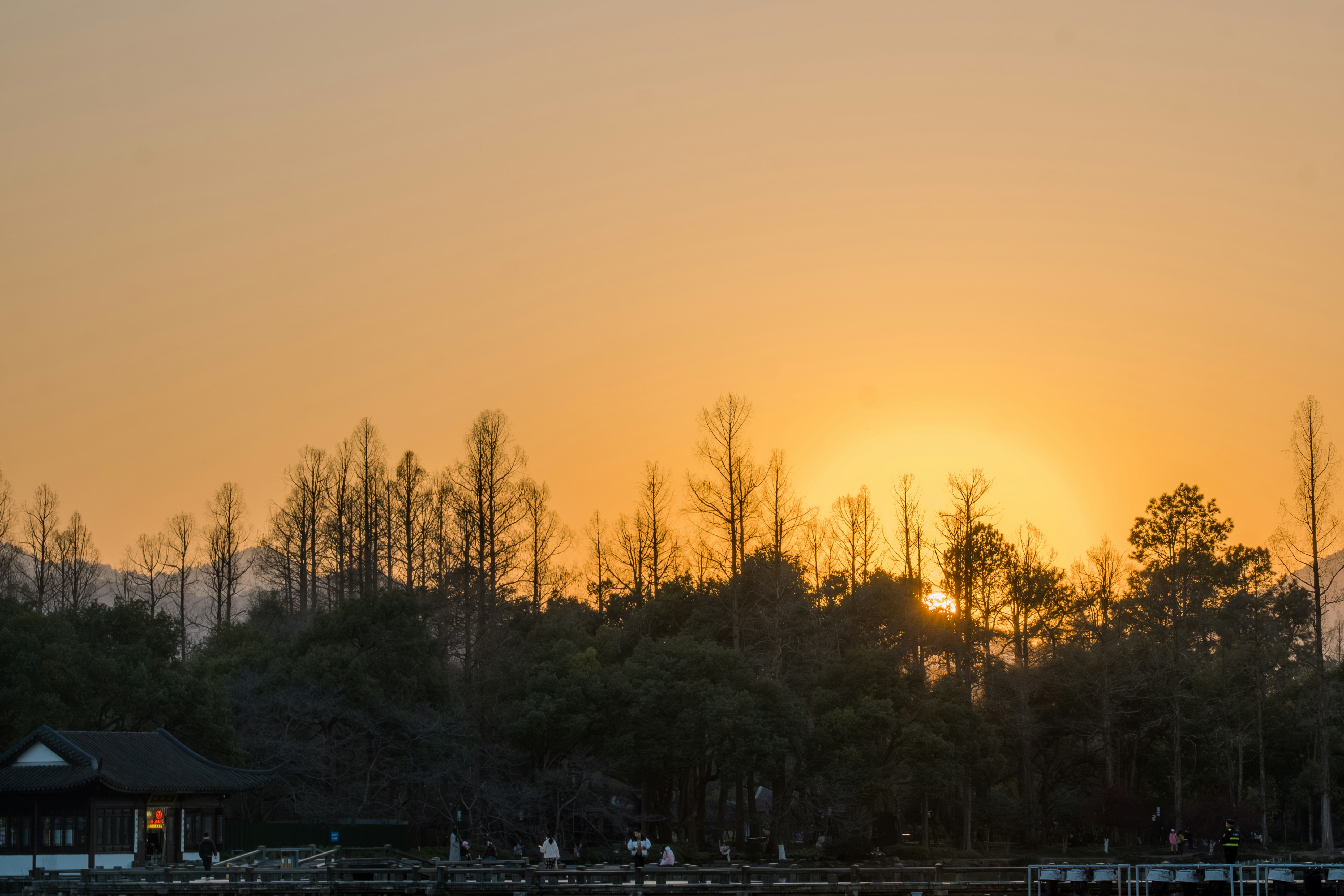 Golden Silence Over Lakefront Pines at Dusk