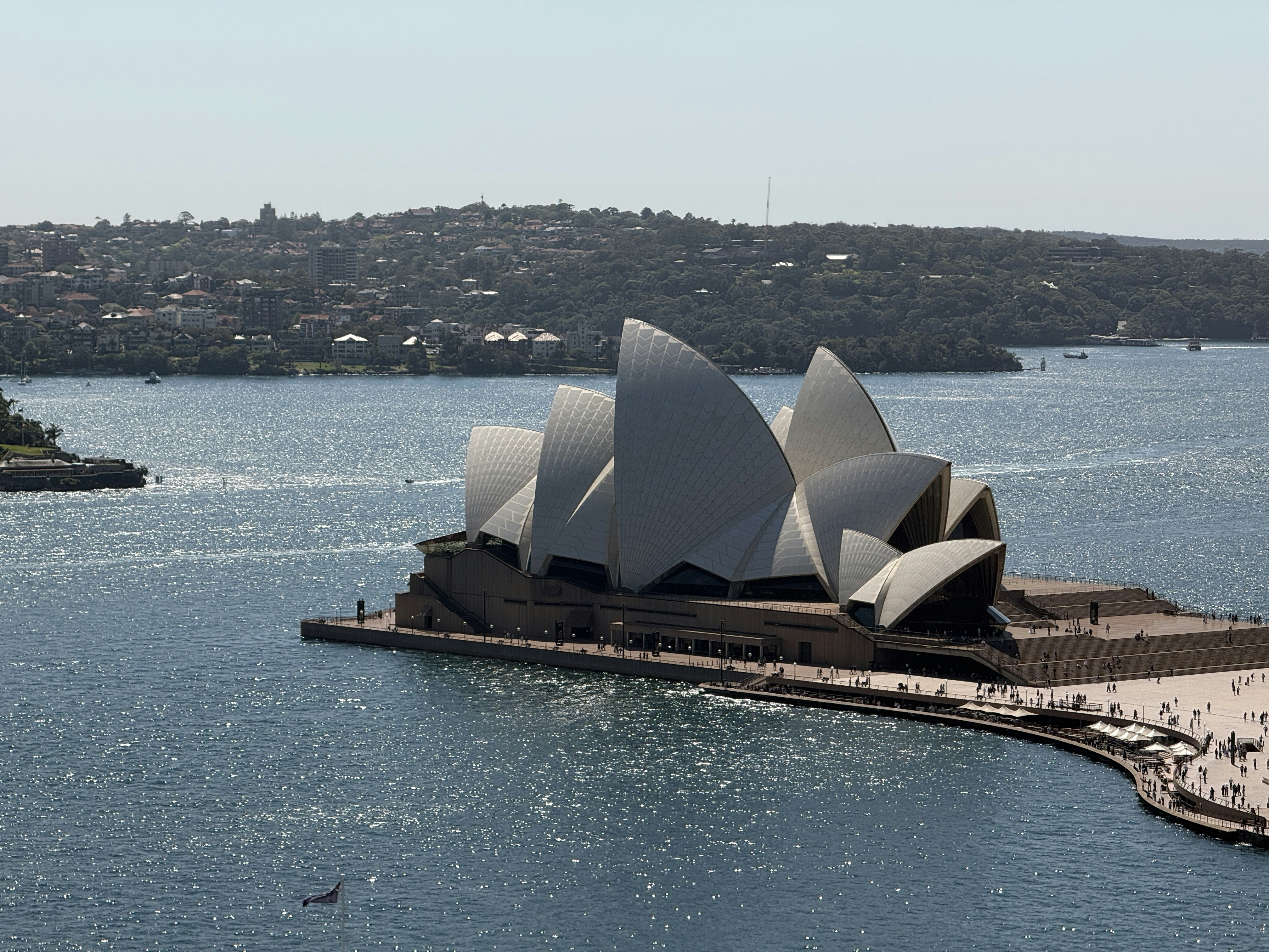 Sails of drama: the Opera House on a sunlit harbor
